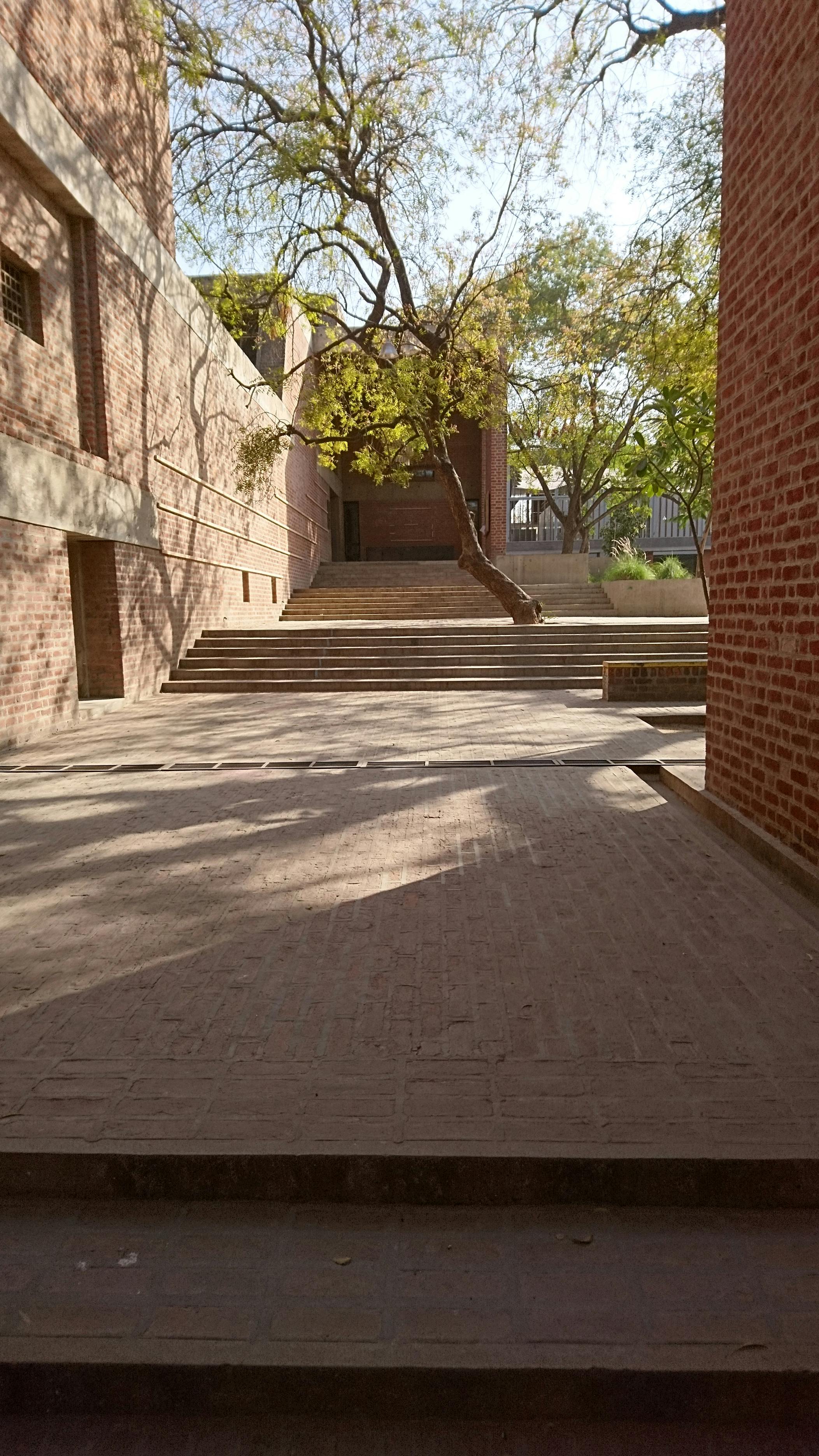 Mrunal Shinde - 摄影