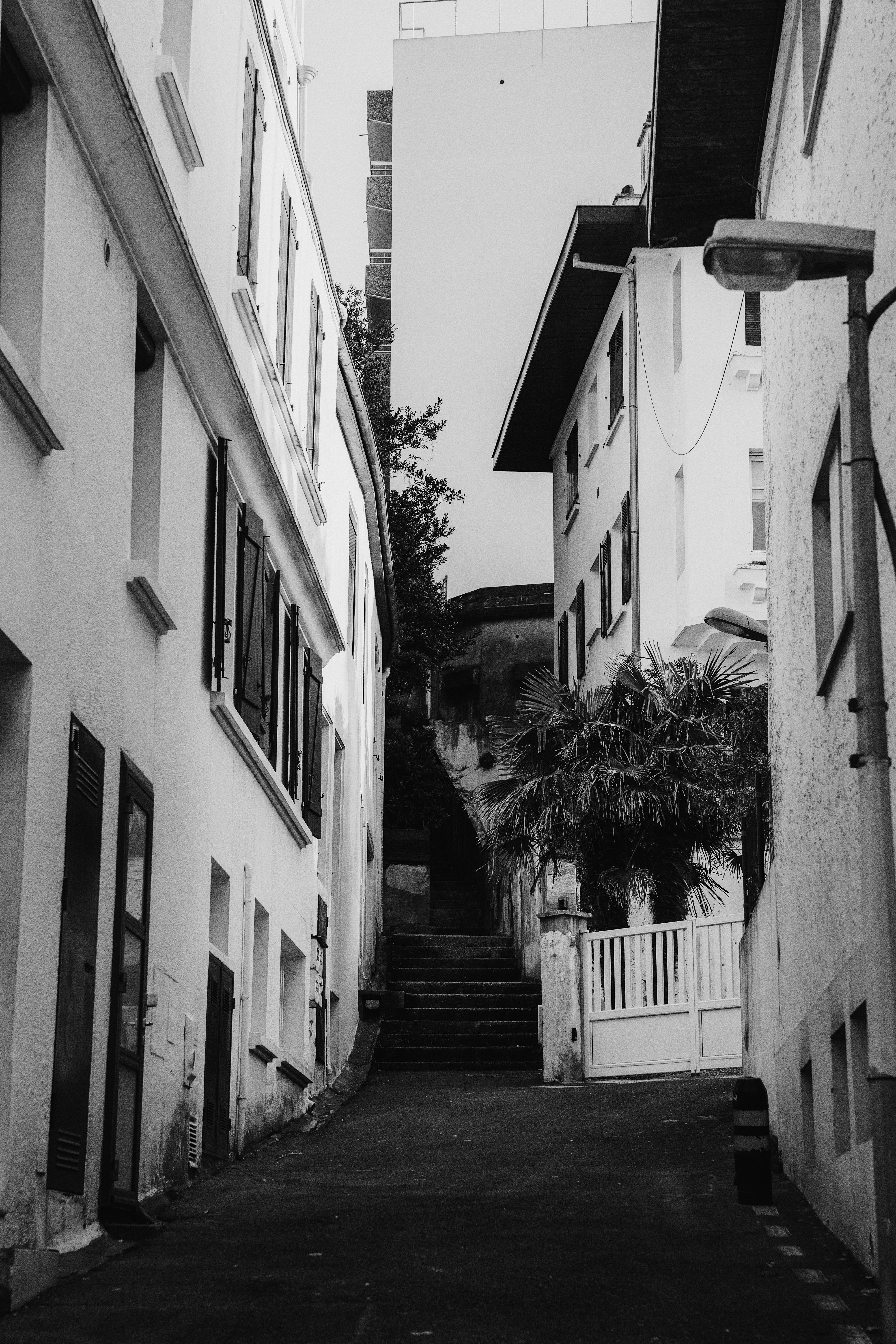 A Stairs in Between Buildings · Free Stock Photo
