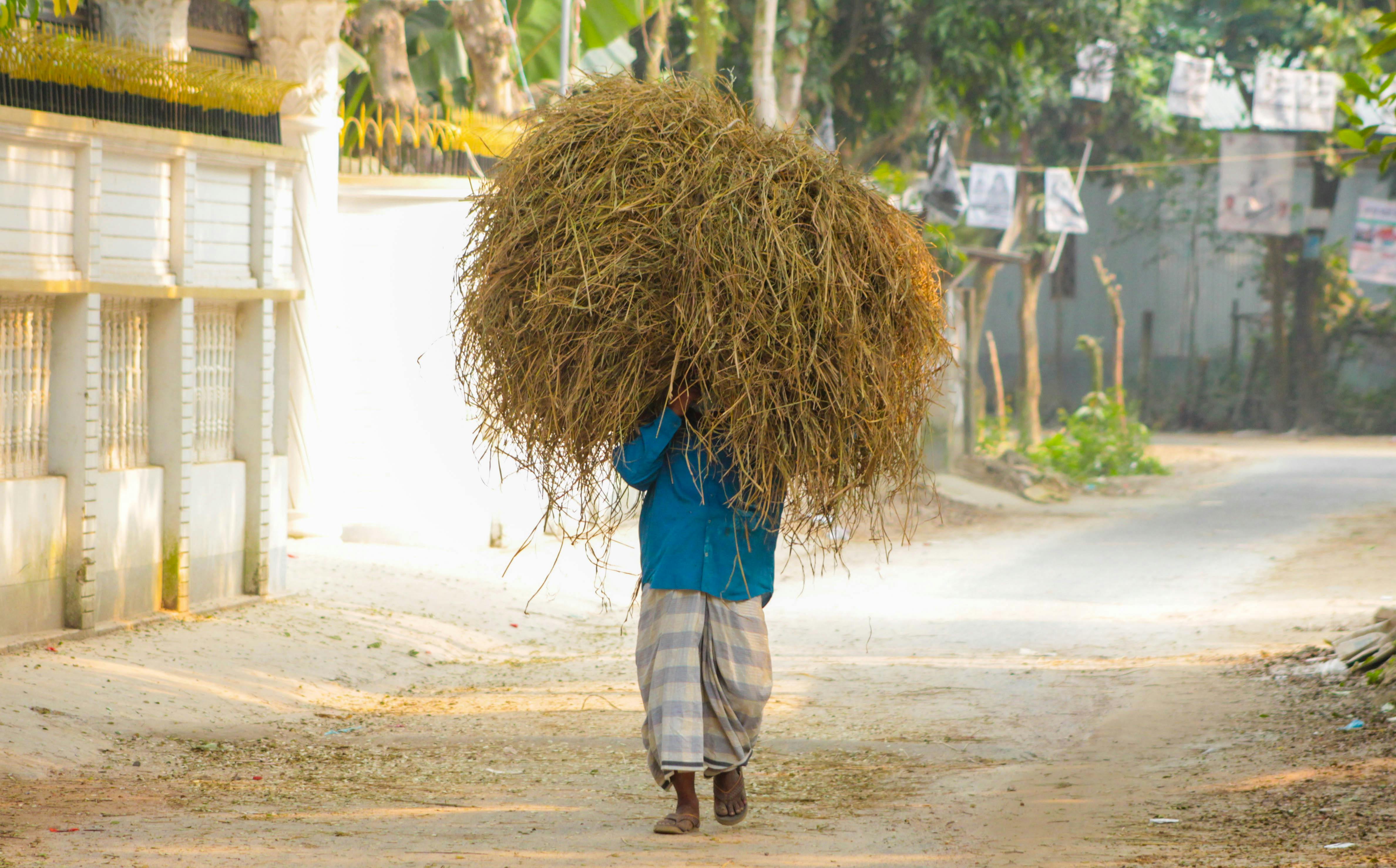 Person Carrying a Sack of Hay · Free Stock Photo