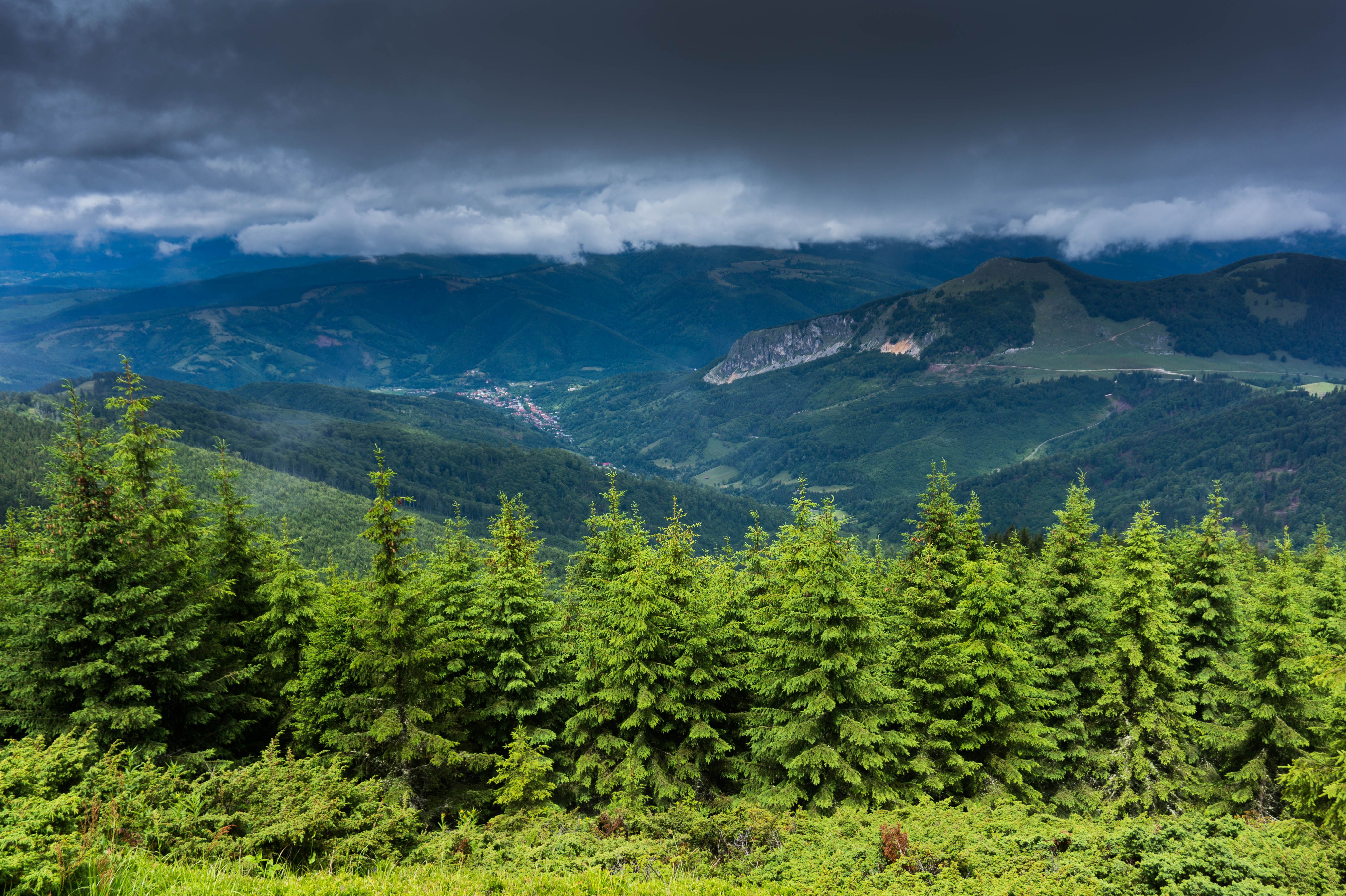Trees Near Mountains · Free Stock Photo