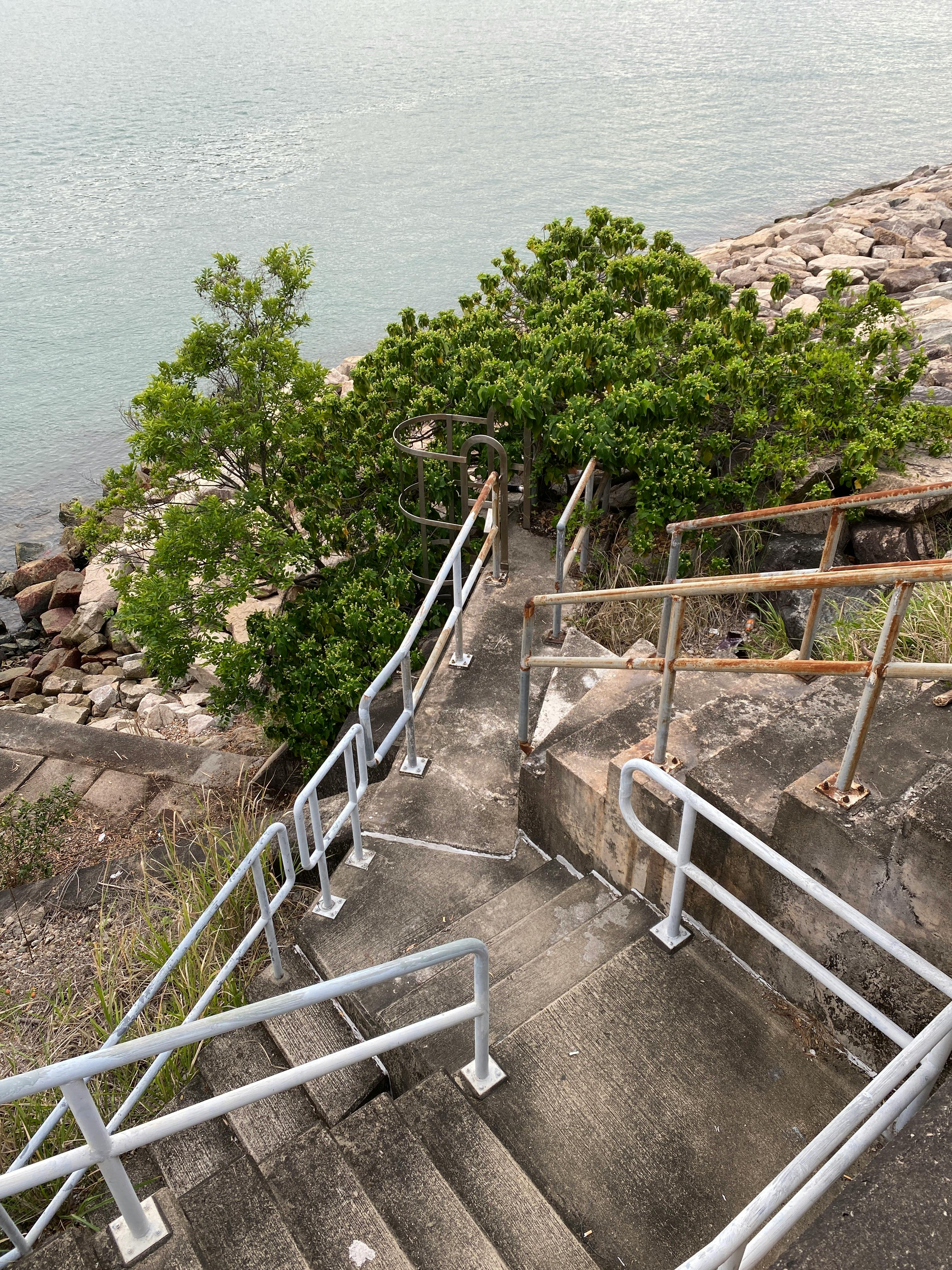 Steps at Seashore · Free Stock Photo