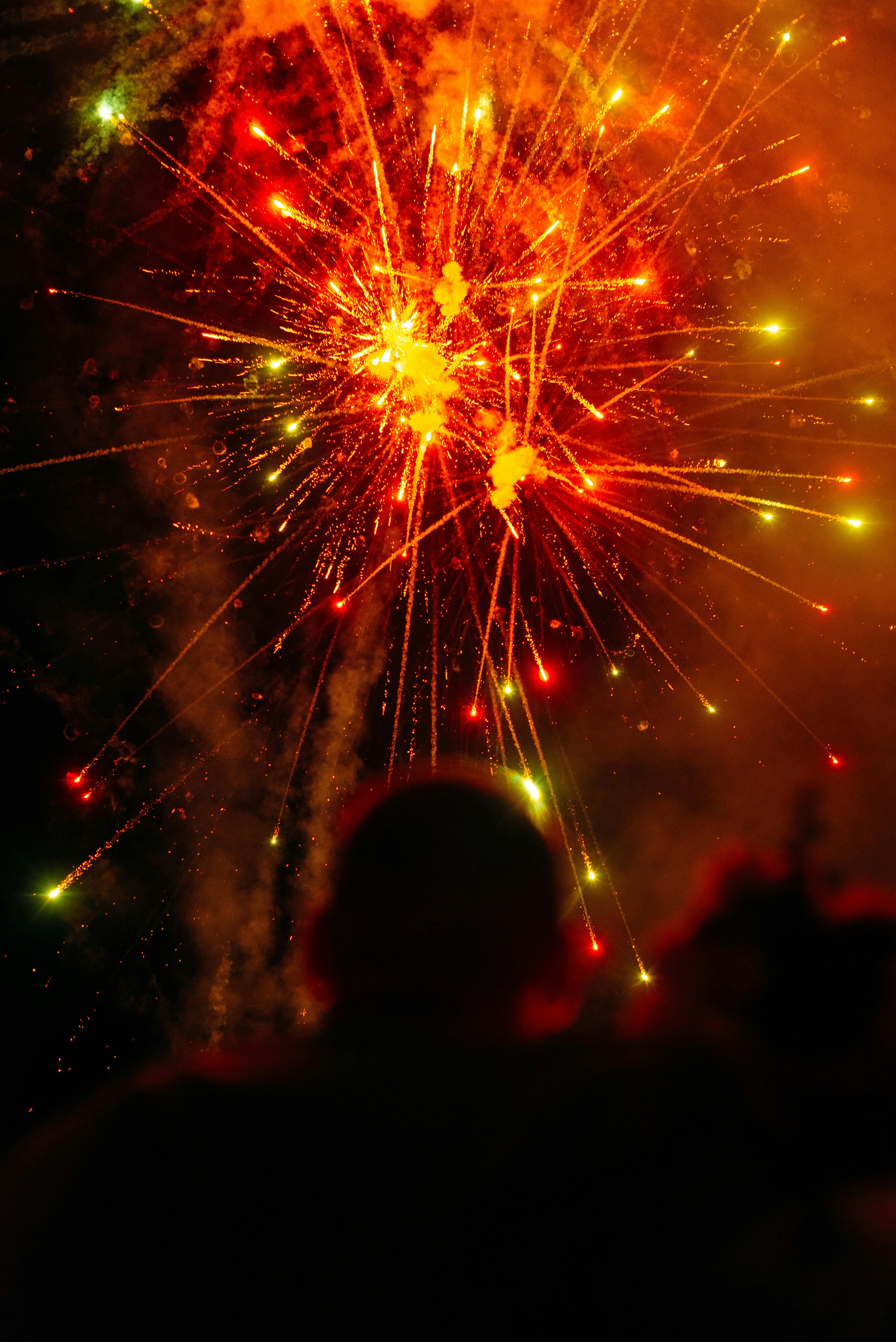 Blue and Red Brocade Fireworks at Night · Free Stock Photo