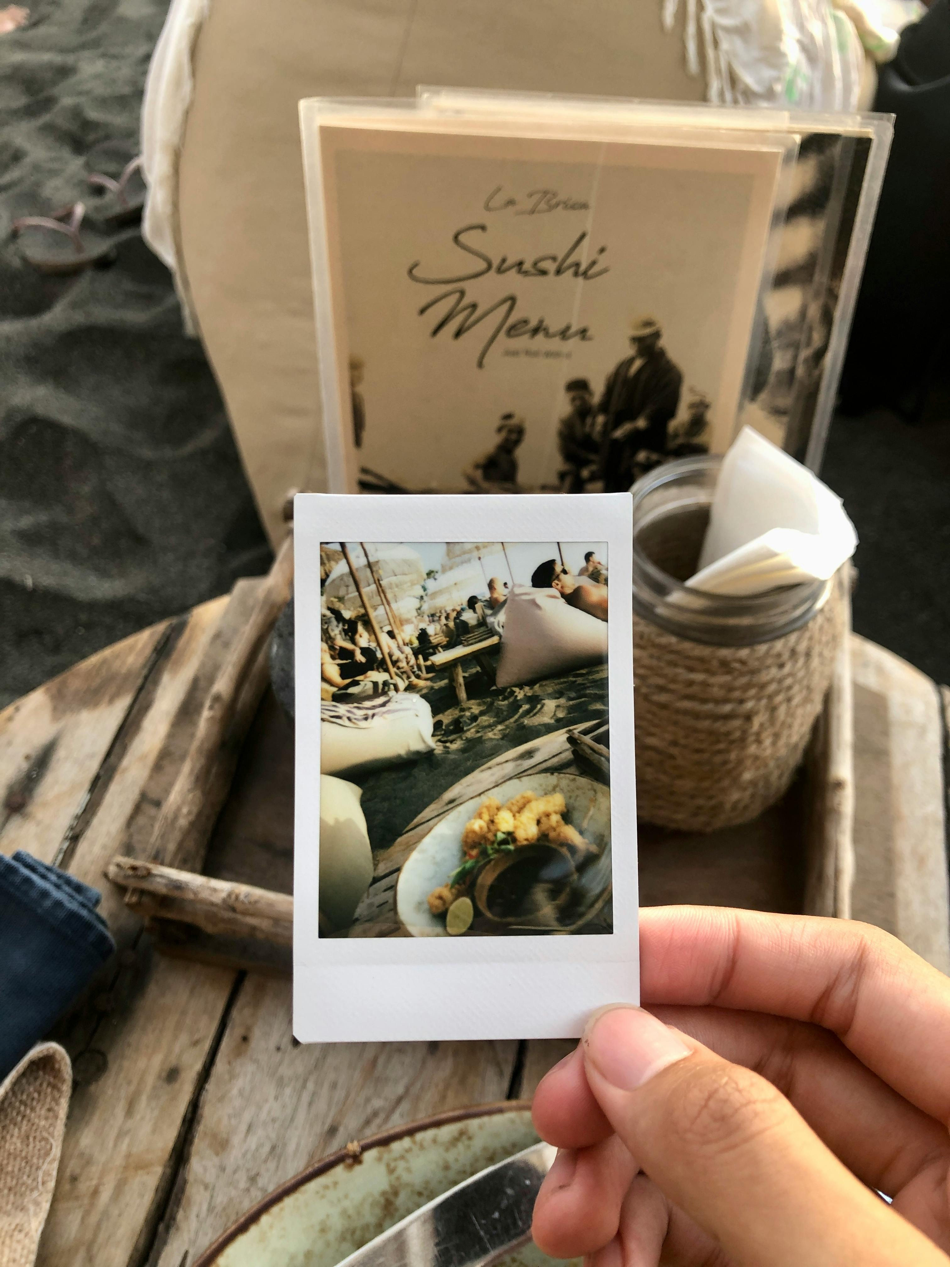 Tropical World Cafe Photos, Download The BEST Free Tropical World Cafe ...