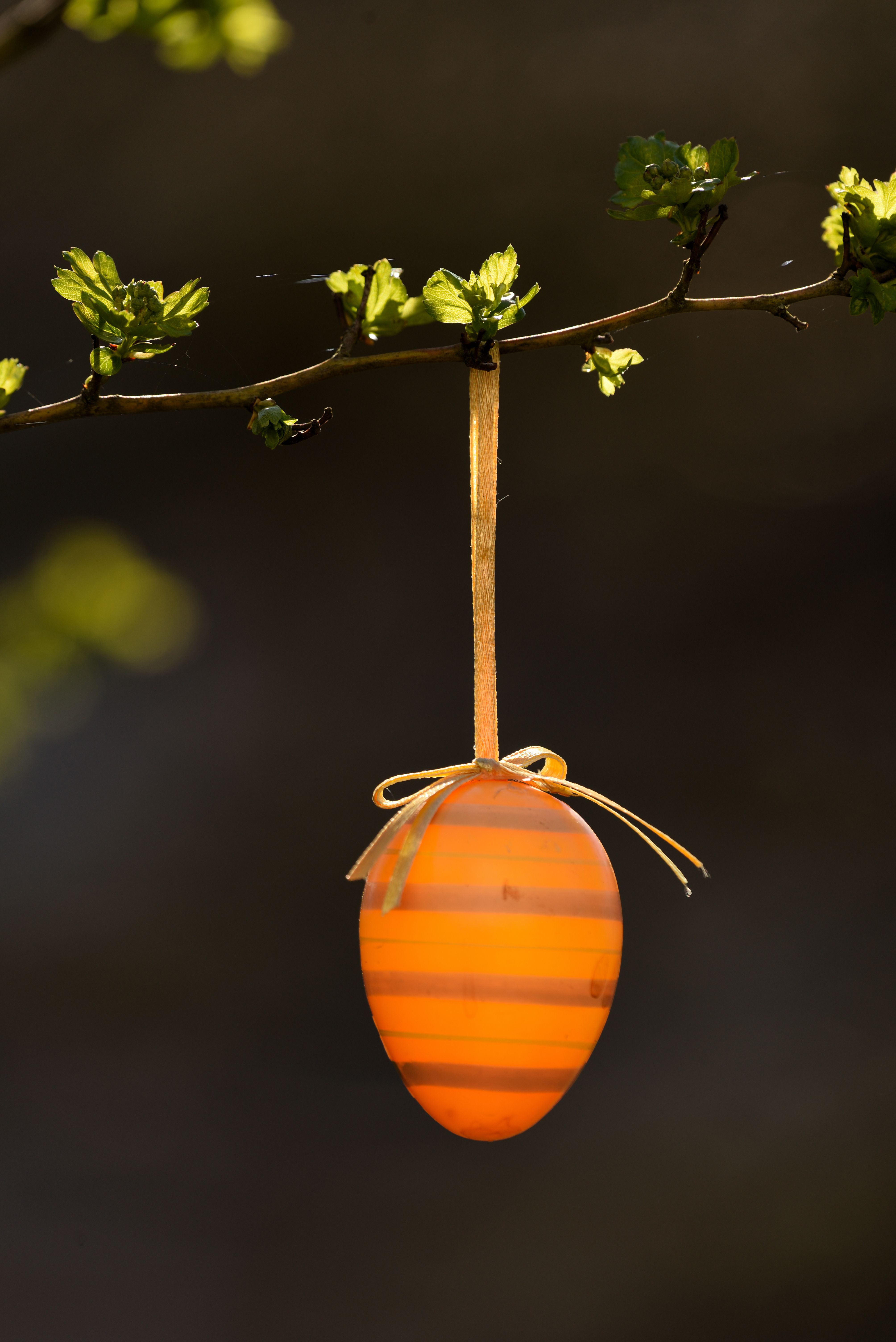 Close-Up Shot of an Easter Egg · Free Stock Photo
