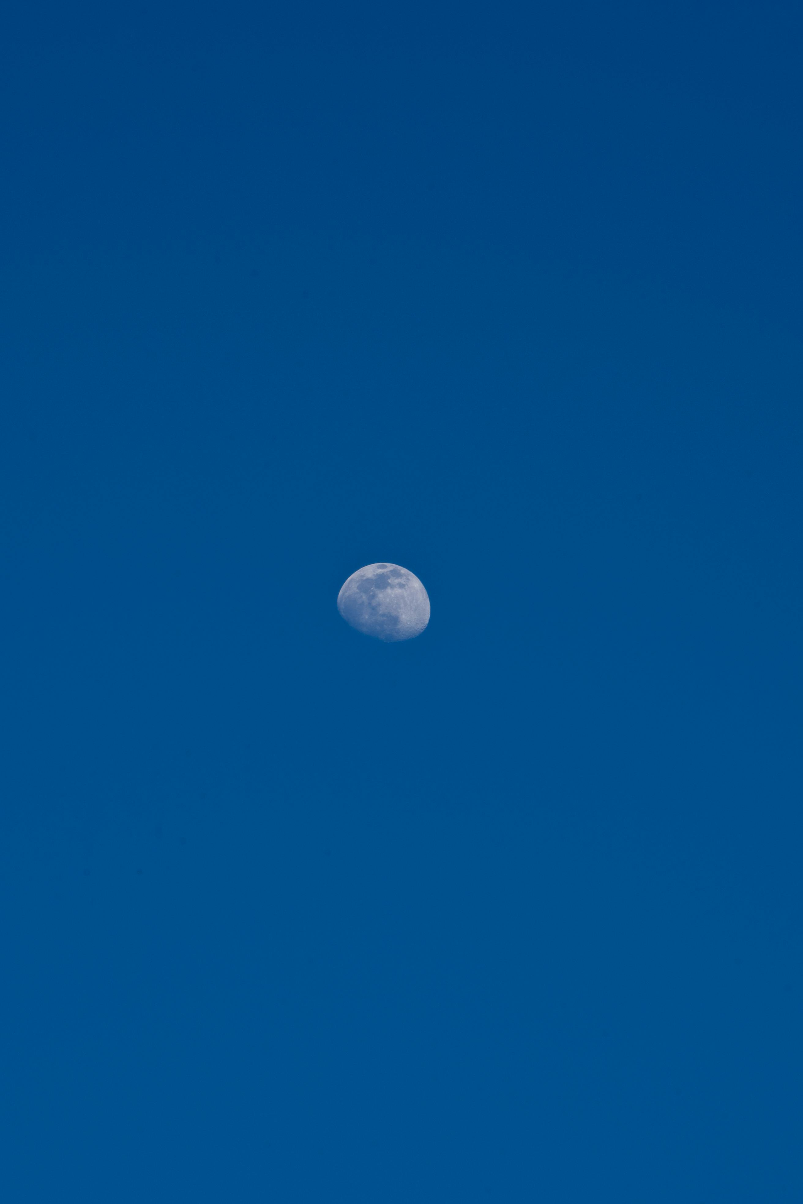 Crescent Moon in Clear SKy · Free Stock Photo
