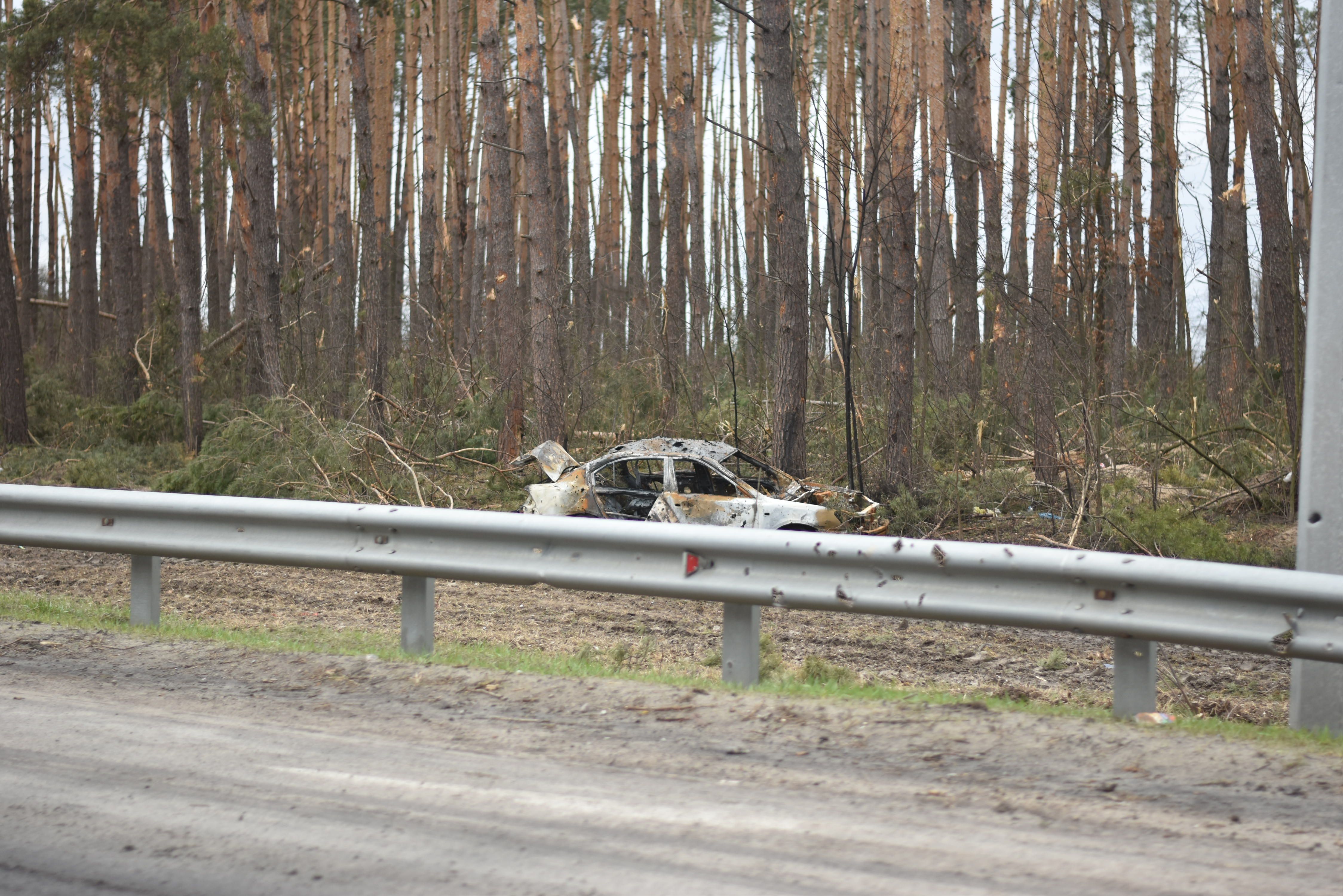 A Car Crushed by a Broken Tree · Free Stock Photo