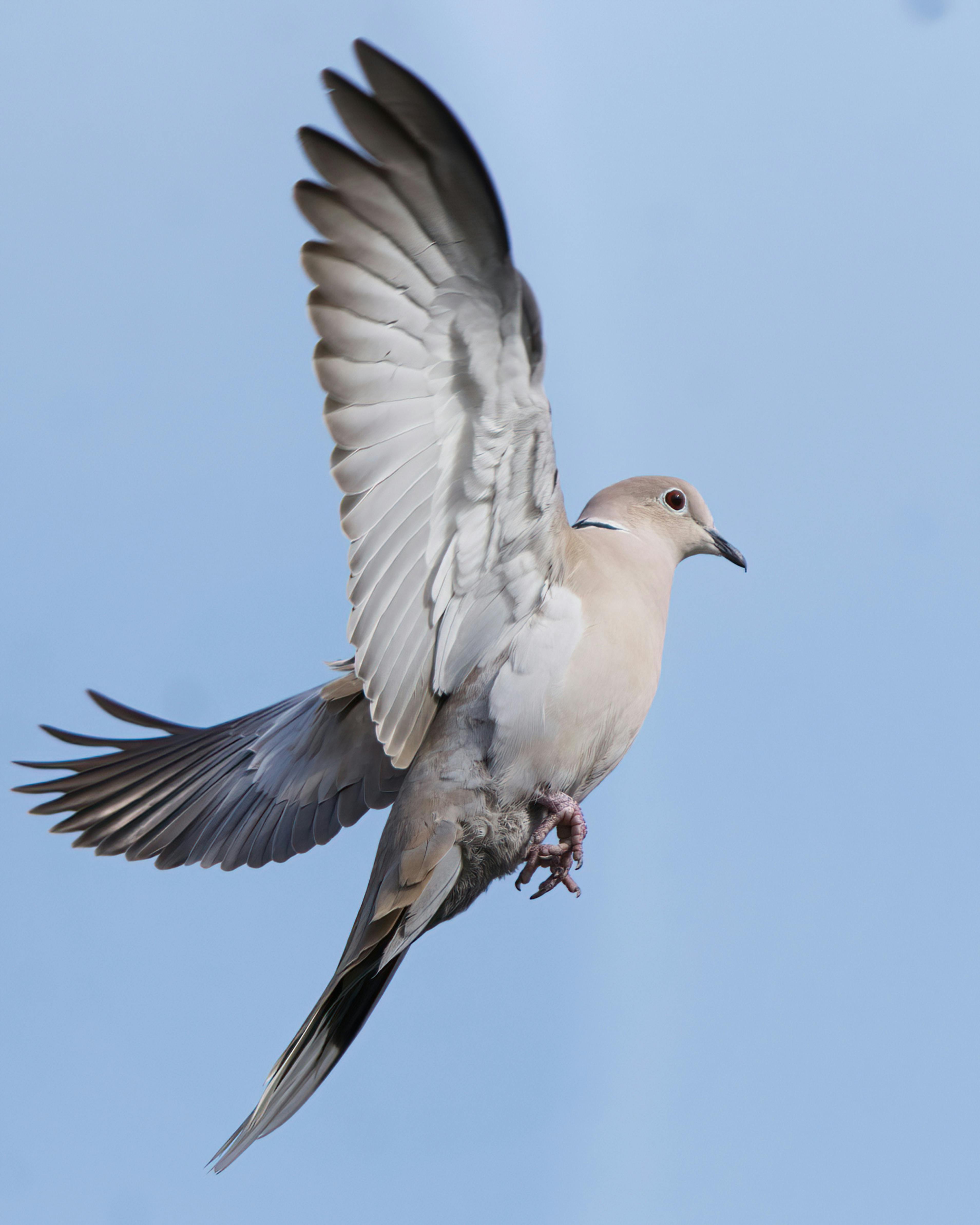 59,914+ Best Free Eye catching Stock Photos & Images · 100% Royalty ...