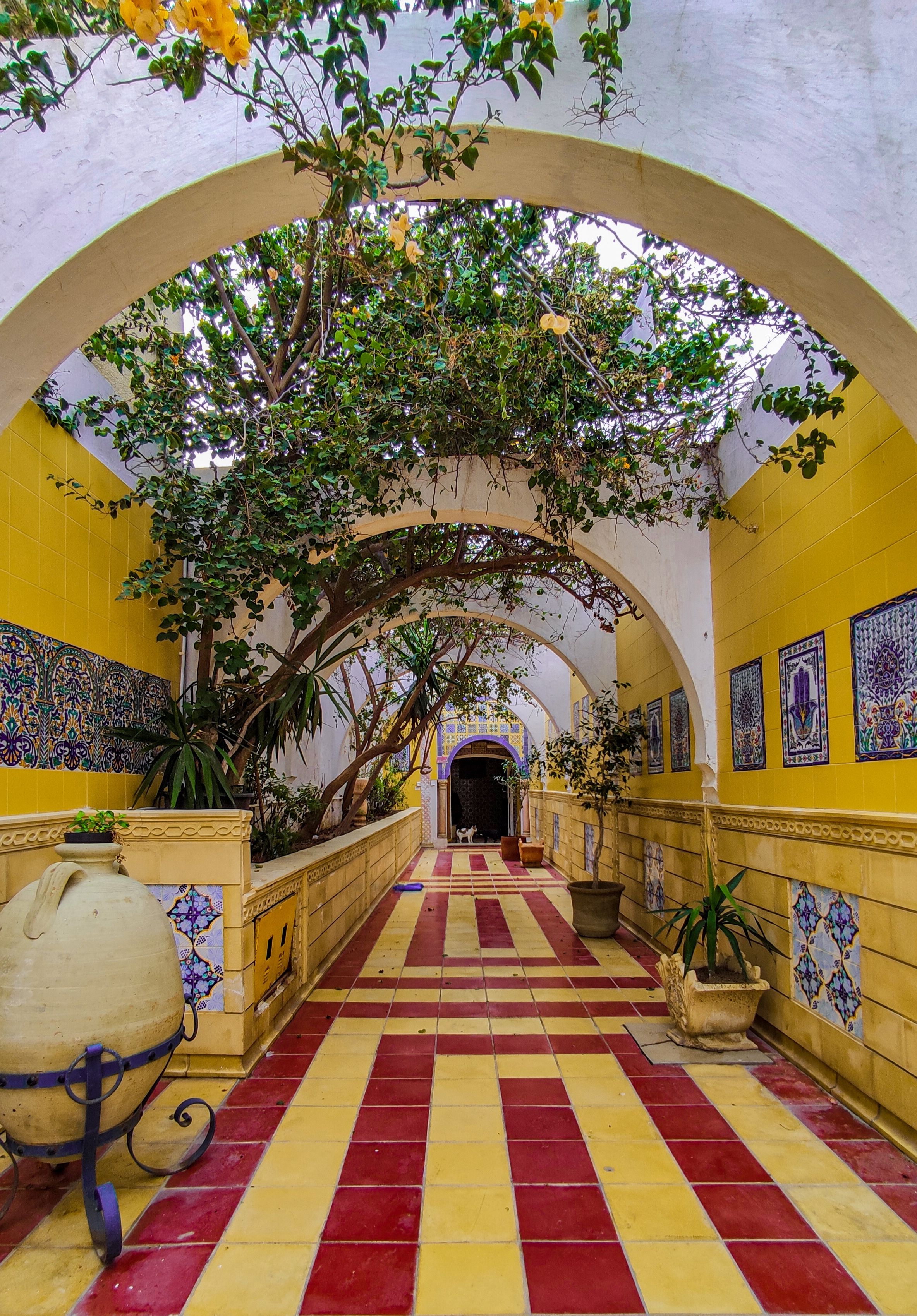 Corridor Decorated With Plants · Free Stock Photo