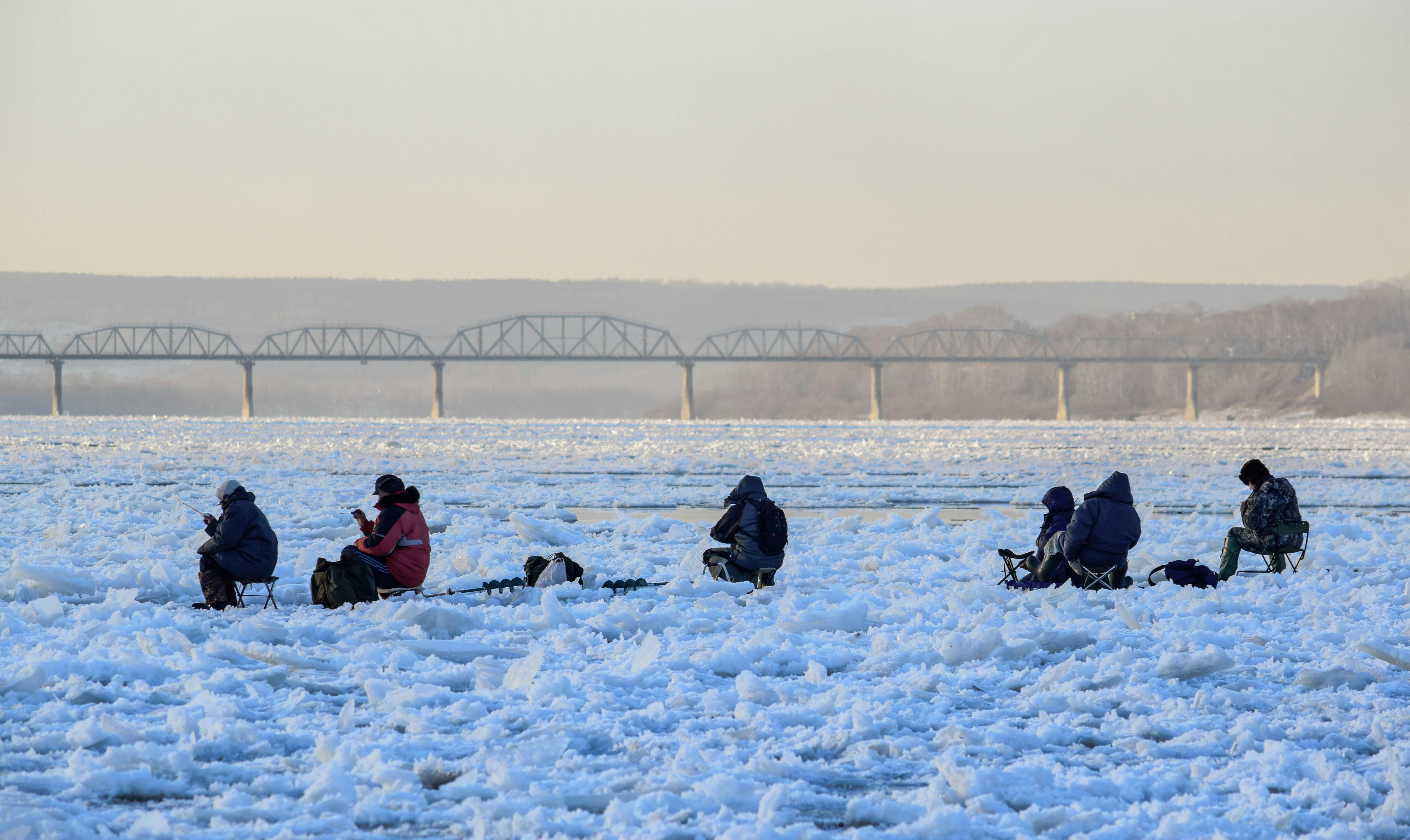 Siberia Snus Photos, Download The BEST Free Siberia Snus Stock Photos ...