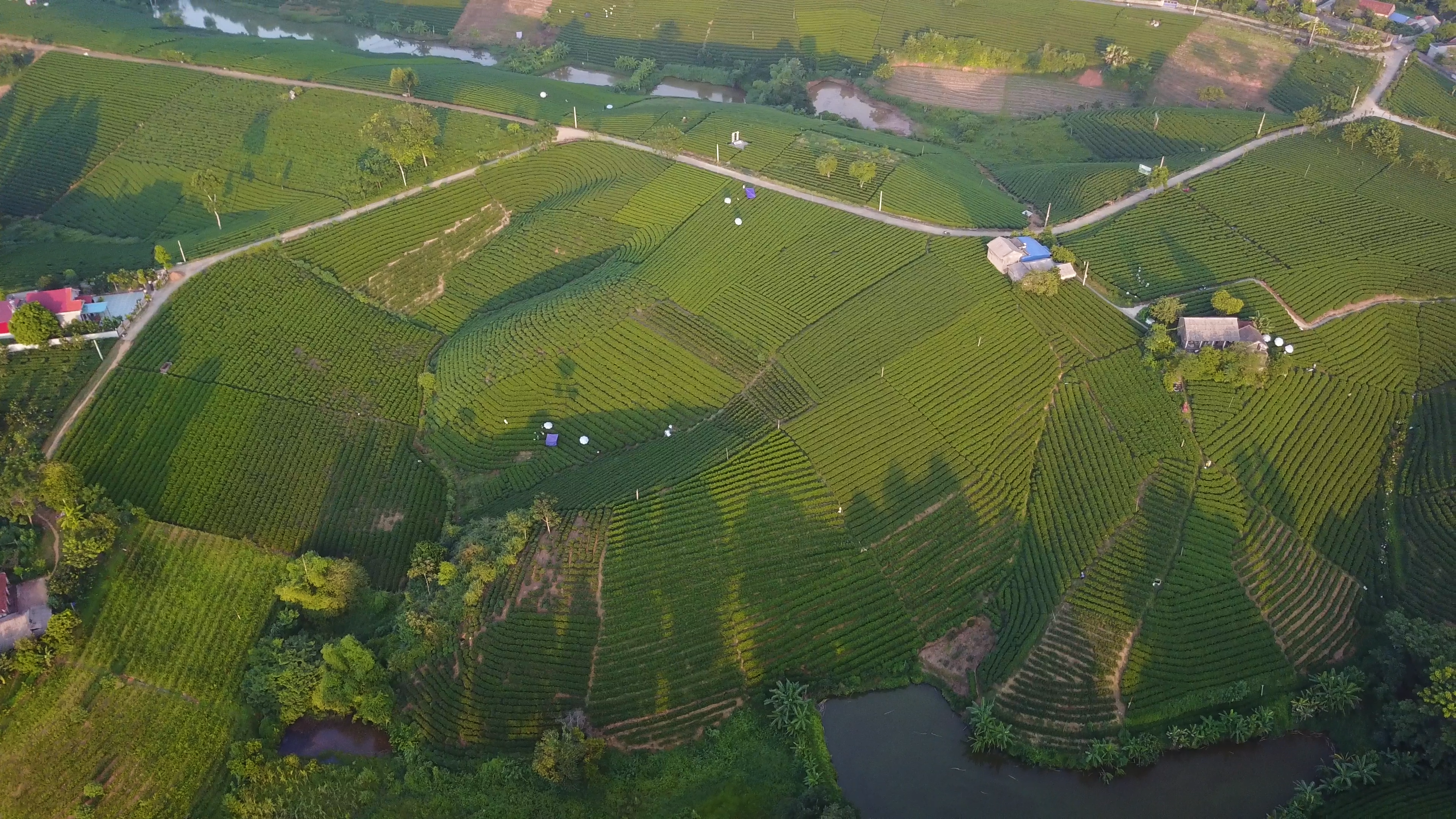 Aerial View of Croplands · Free Stock Photo
