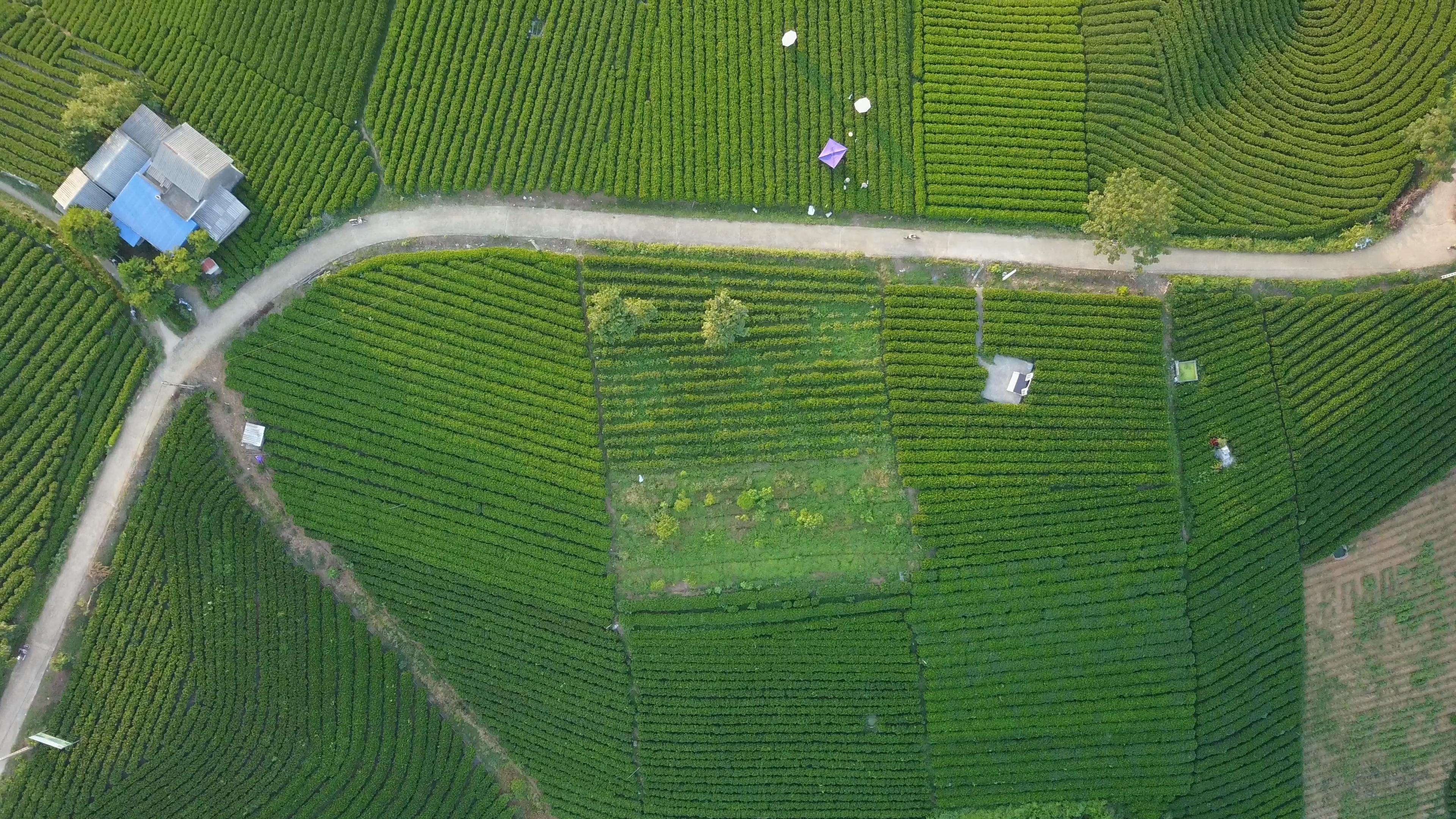 Aerial View of Croplands · Free Stock Photo