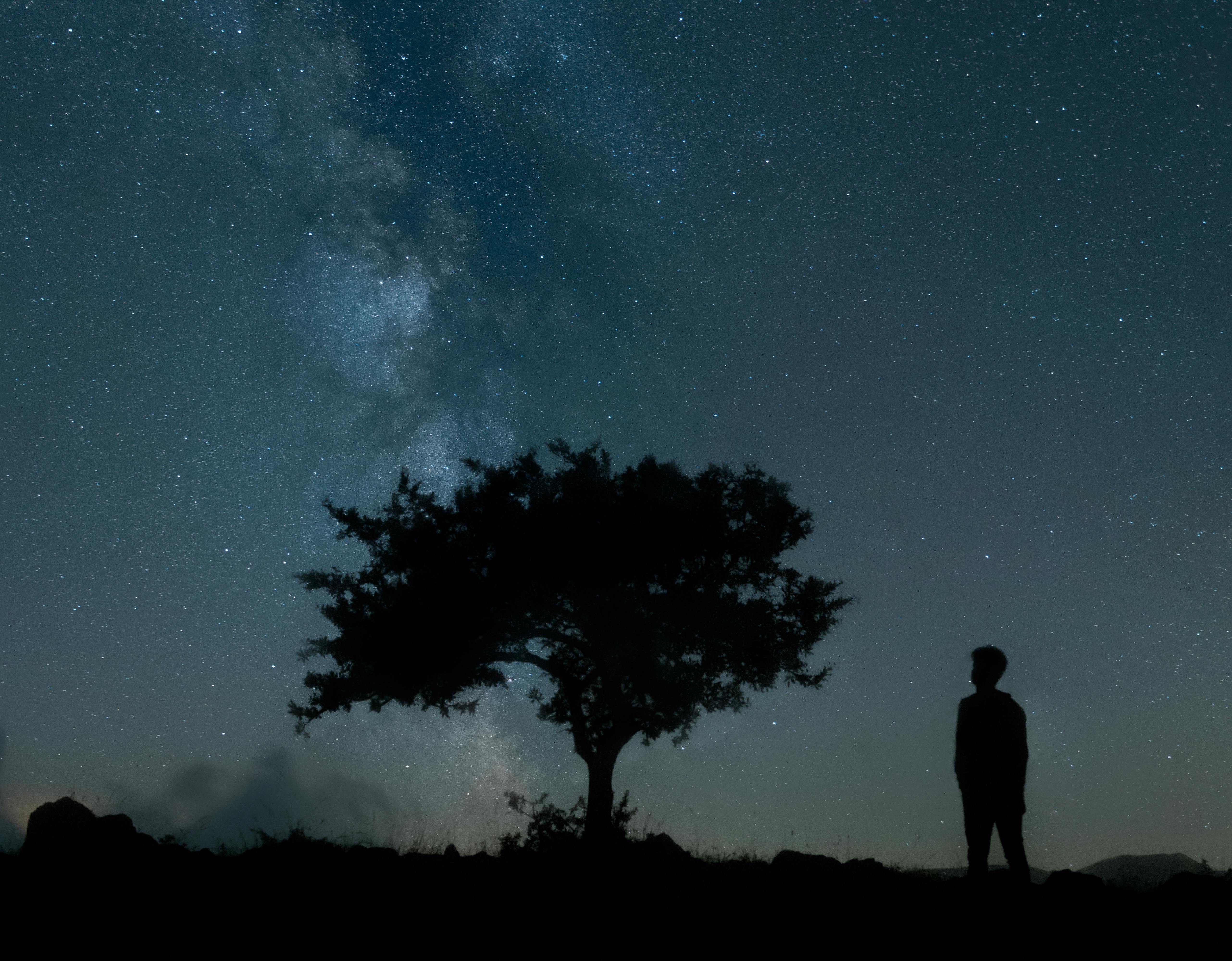 400+ Best Nighttime Photos · 100% Free Download · Pexels Stock Photos