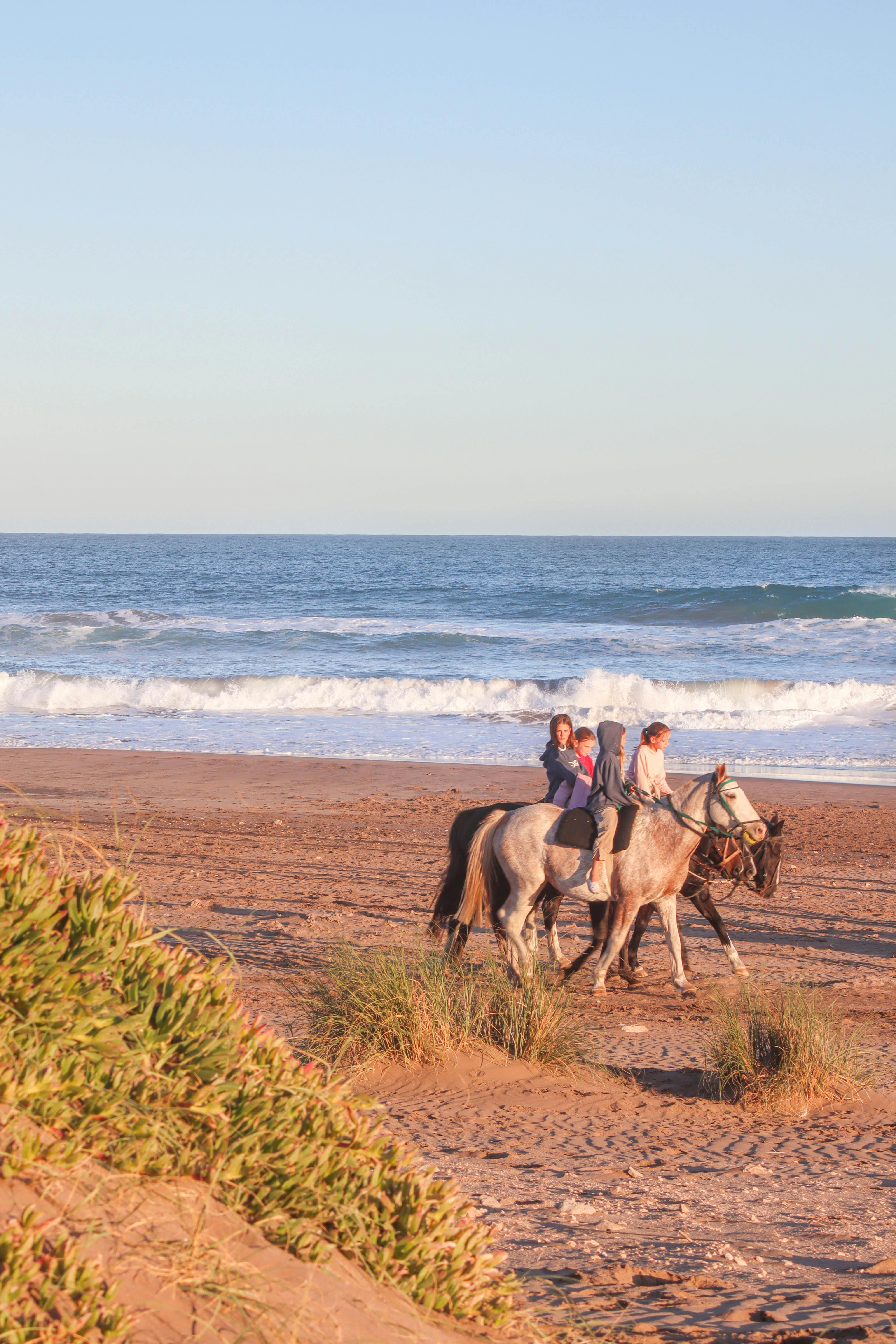People Horseback Riding along Sea at Sunset · Free Stock Photo