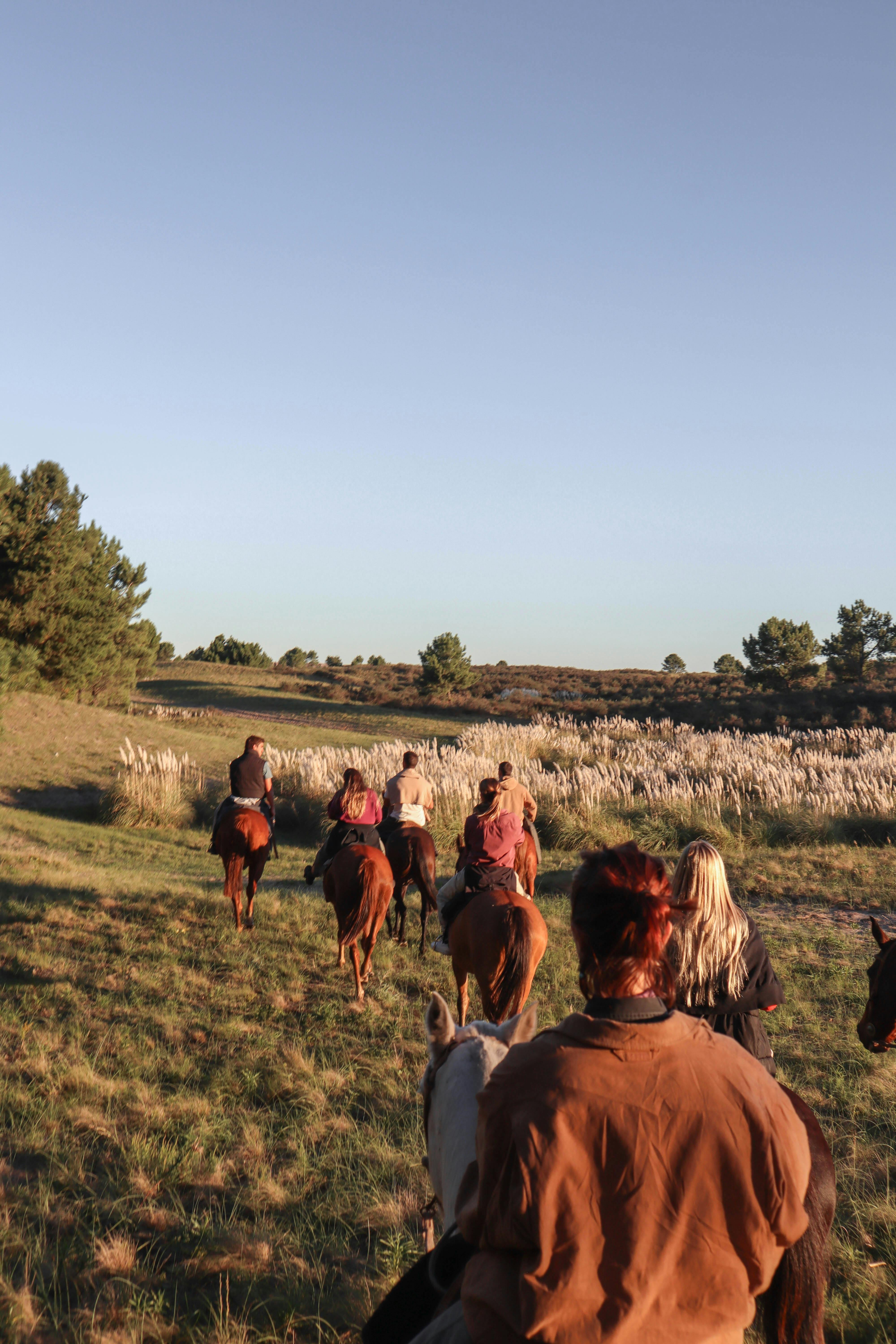 A Group of People Horseback Riding in the Countryside · Free Stock Photo