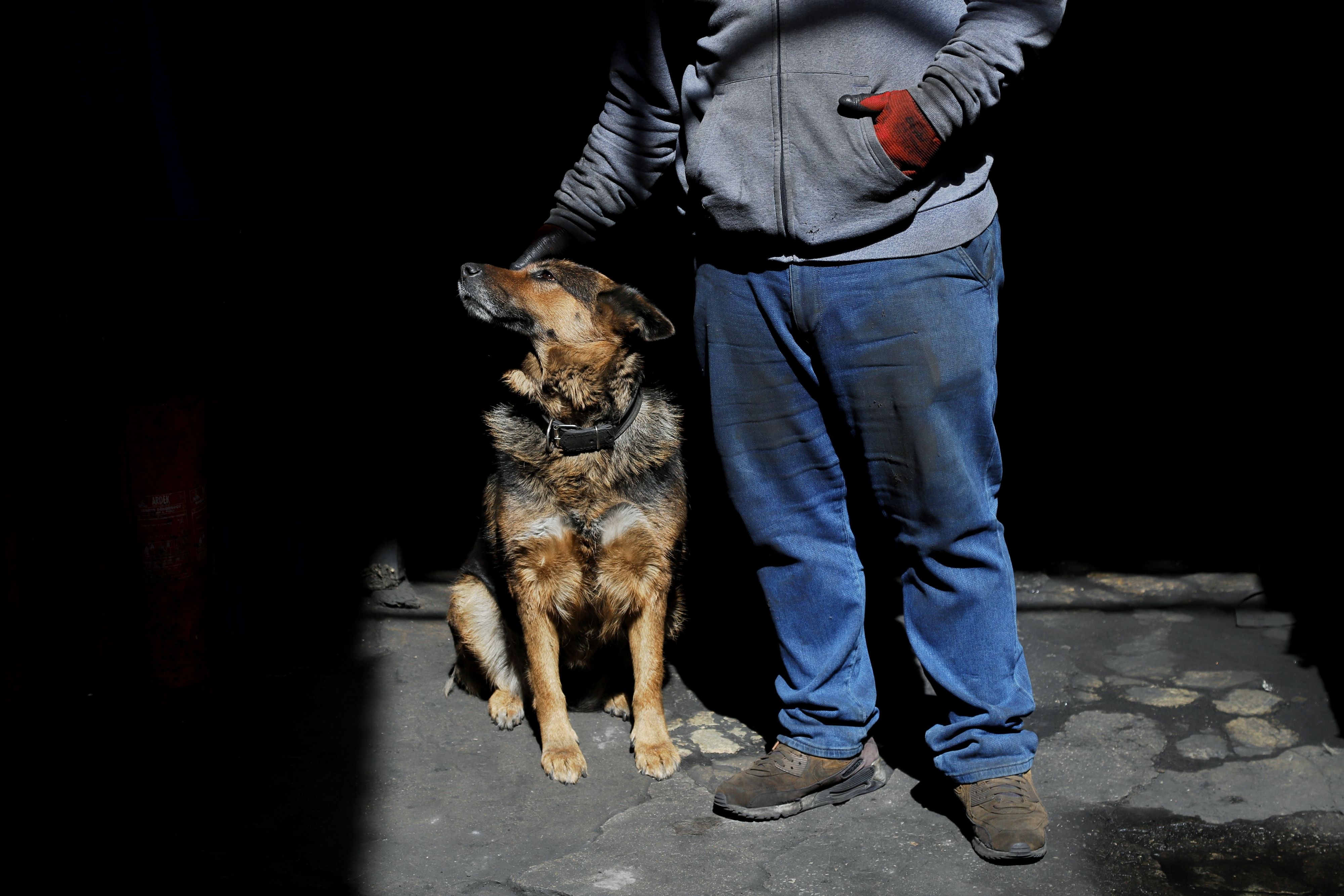 Man With Hand in Pocket Standing Beside a Dog · Free Stock Photo