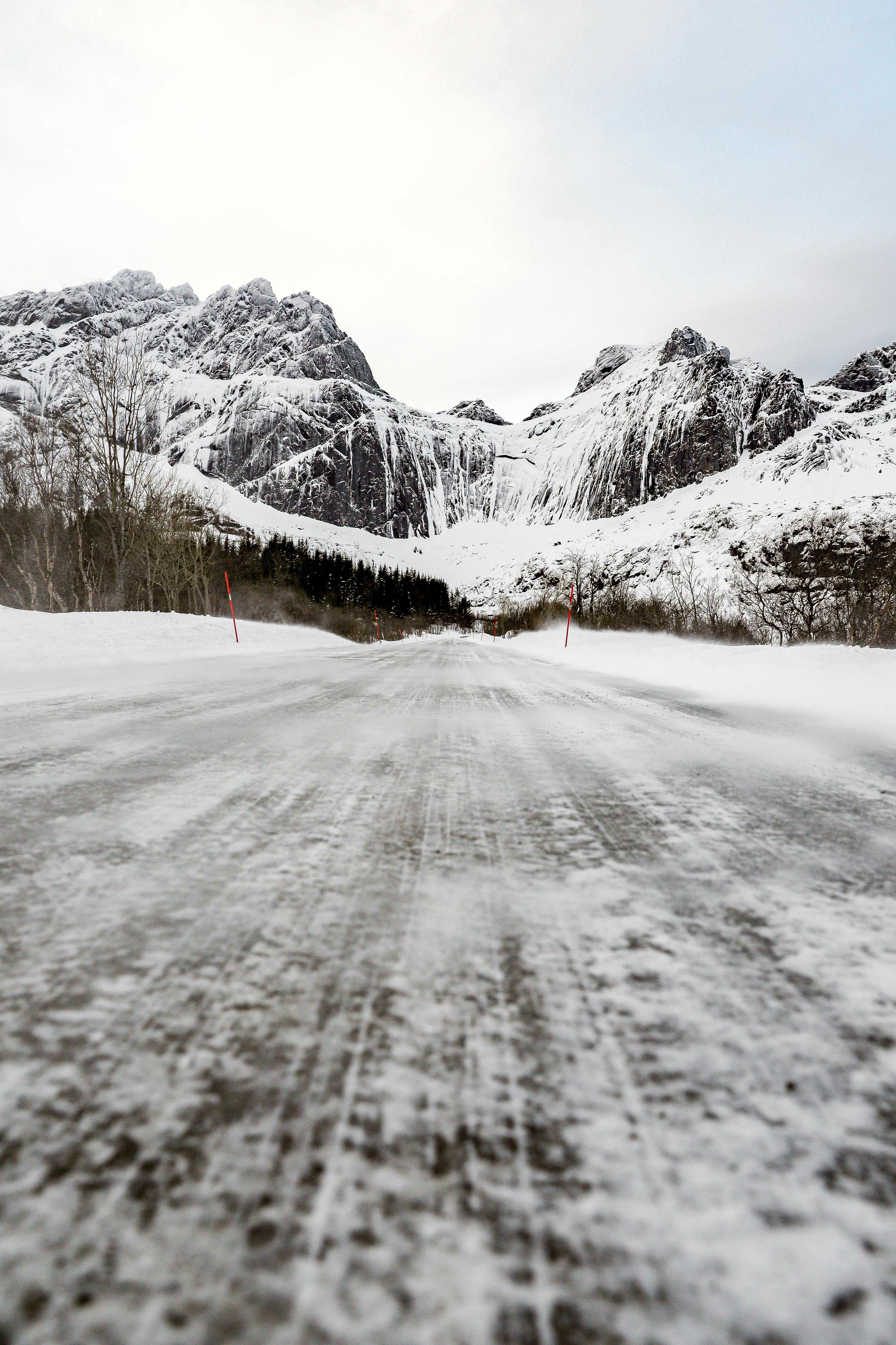 Cleared Road Near Trees and Light Post during Nighttime · Free Stock Photo