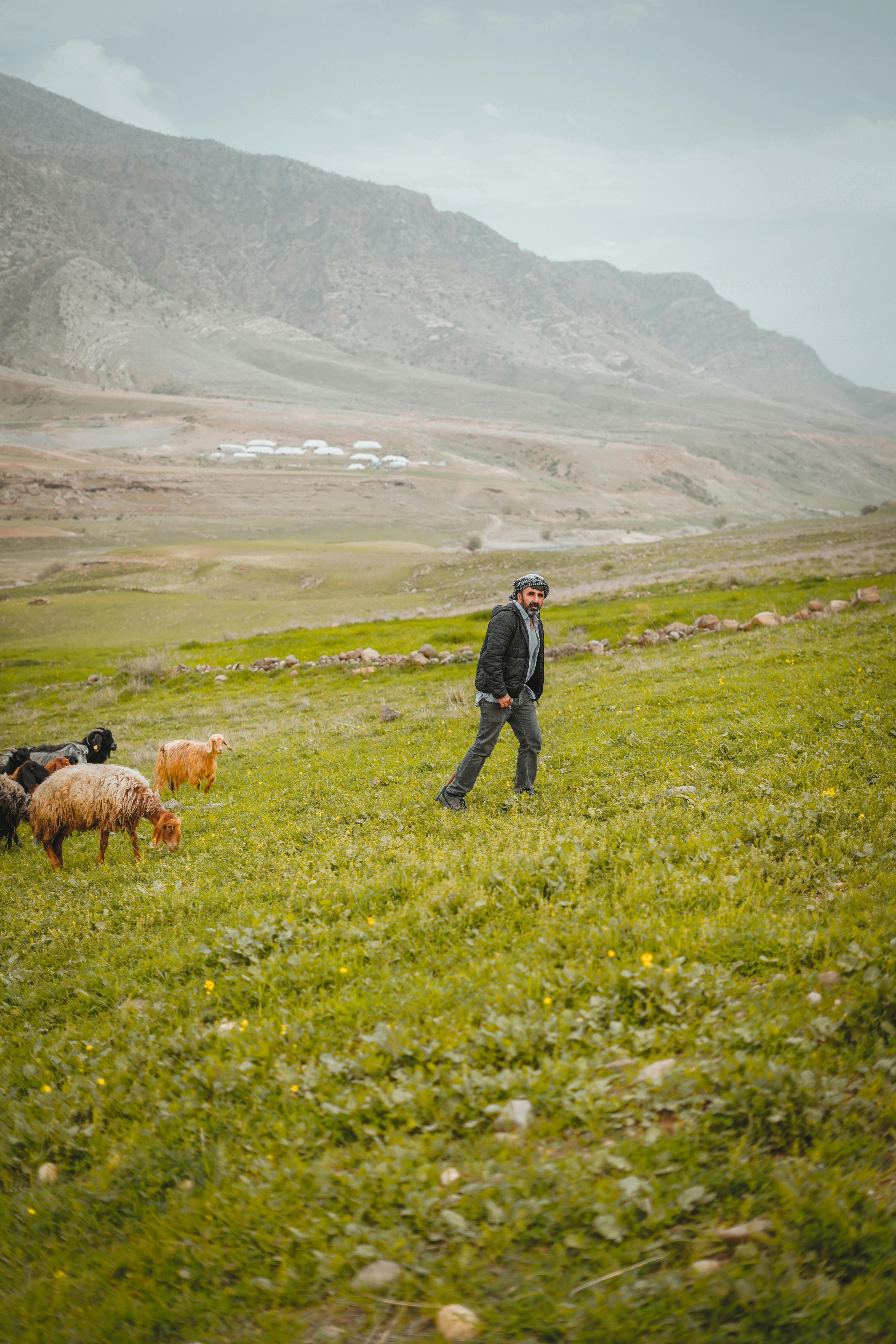 Man Wearing a Cap Standing on a Pasture · Free Stock Photo