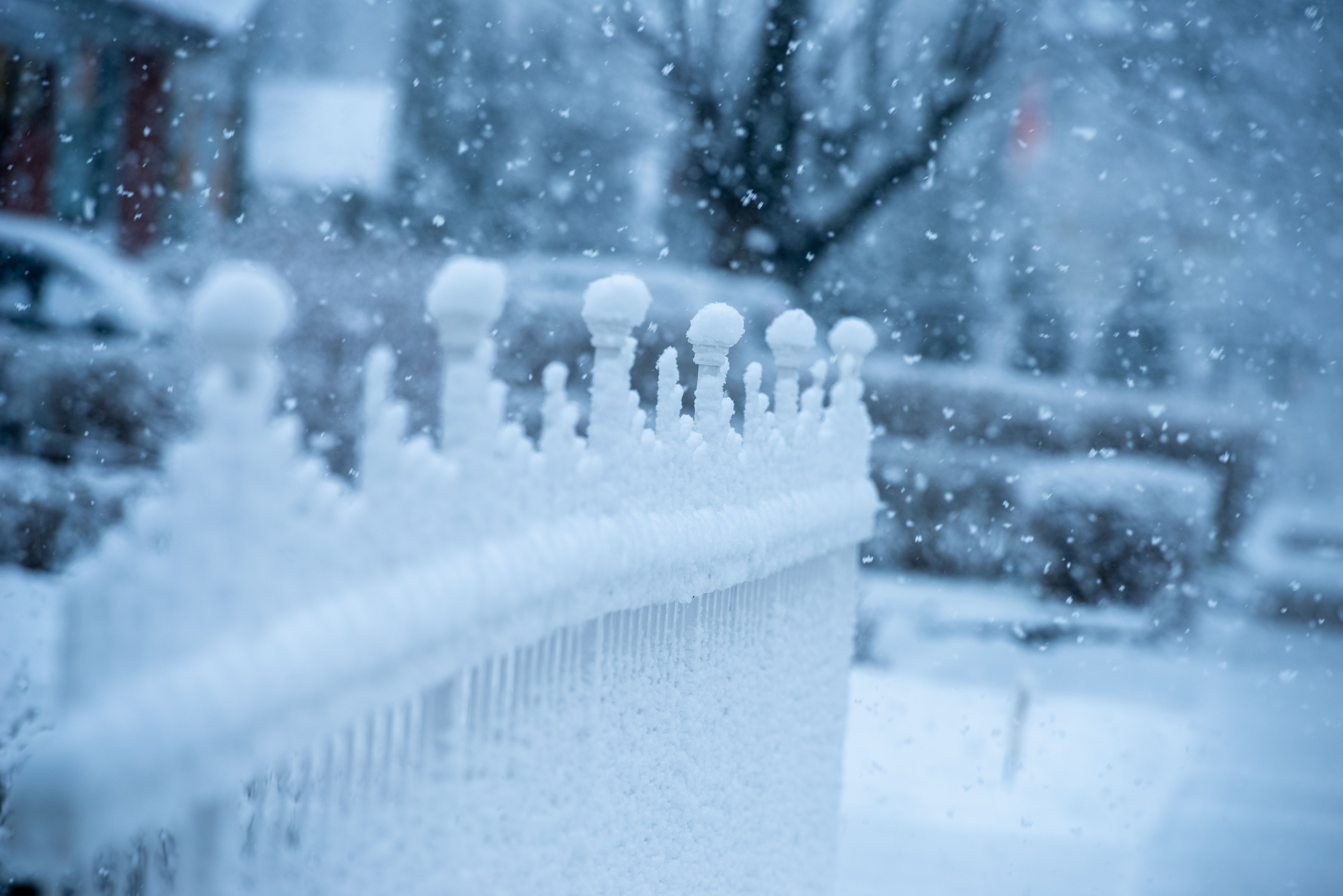Metal Fence Covered with Snow · Free Stock Photo