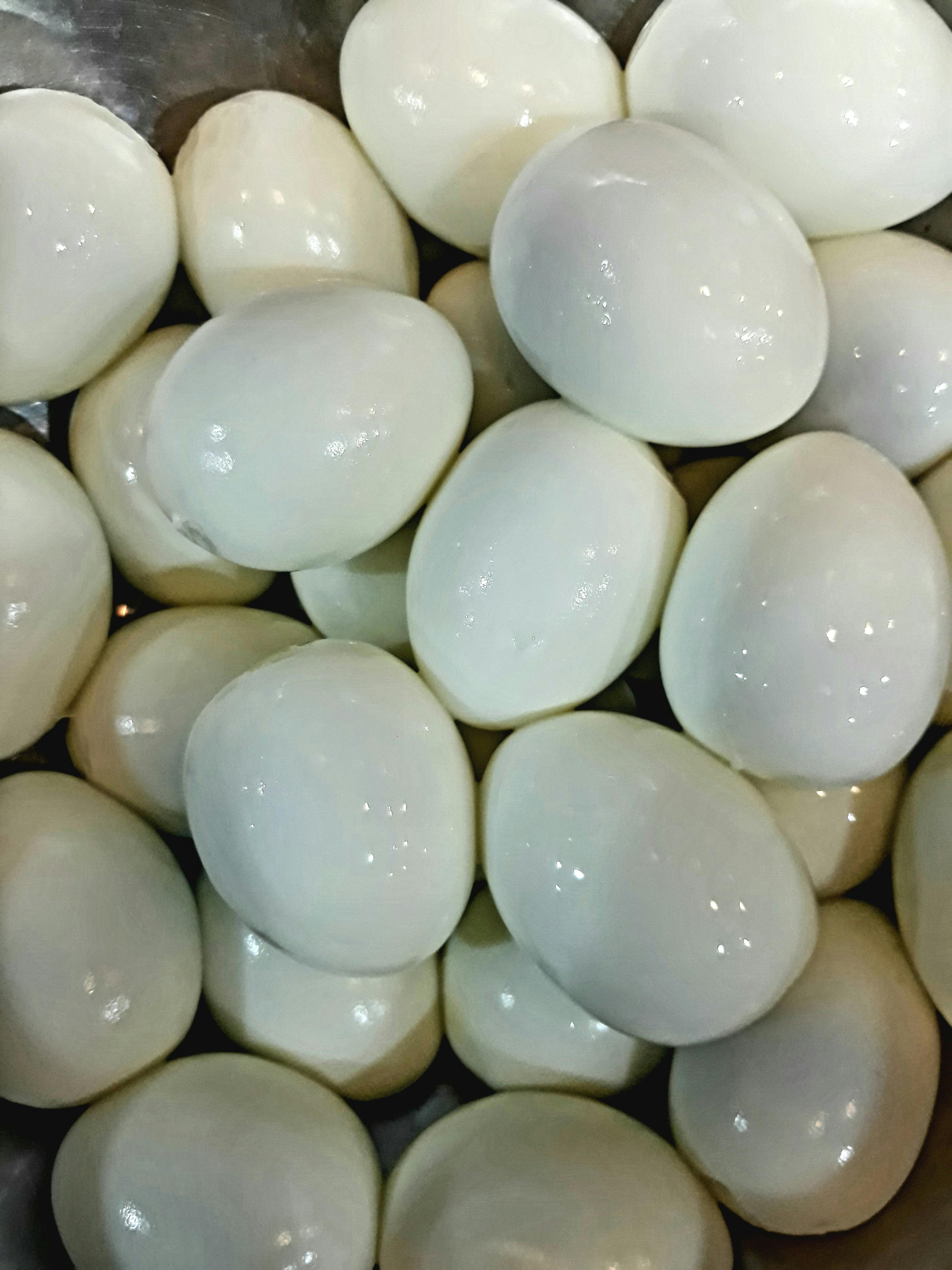 Zee Shan - Fotografía