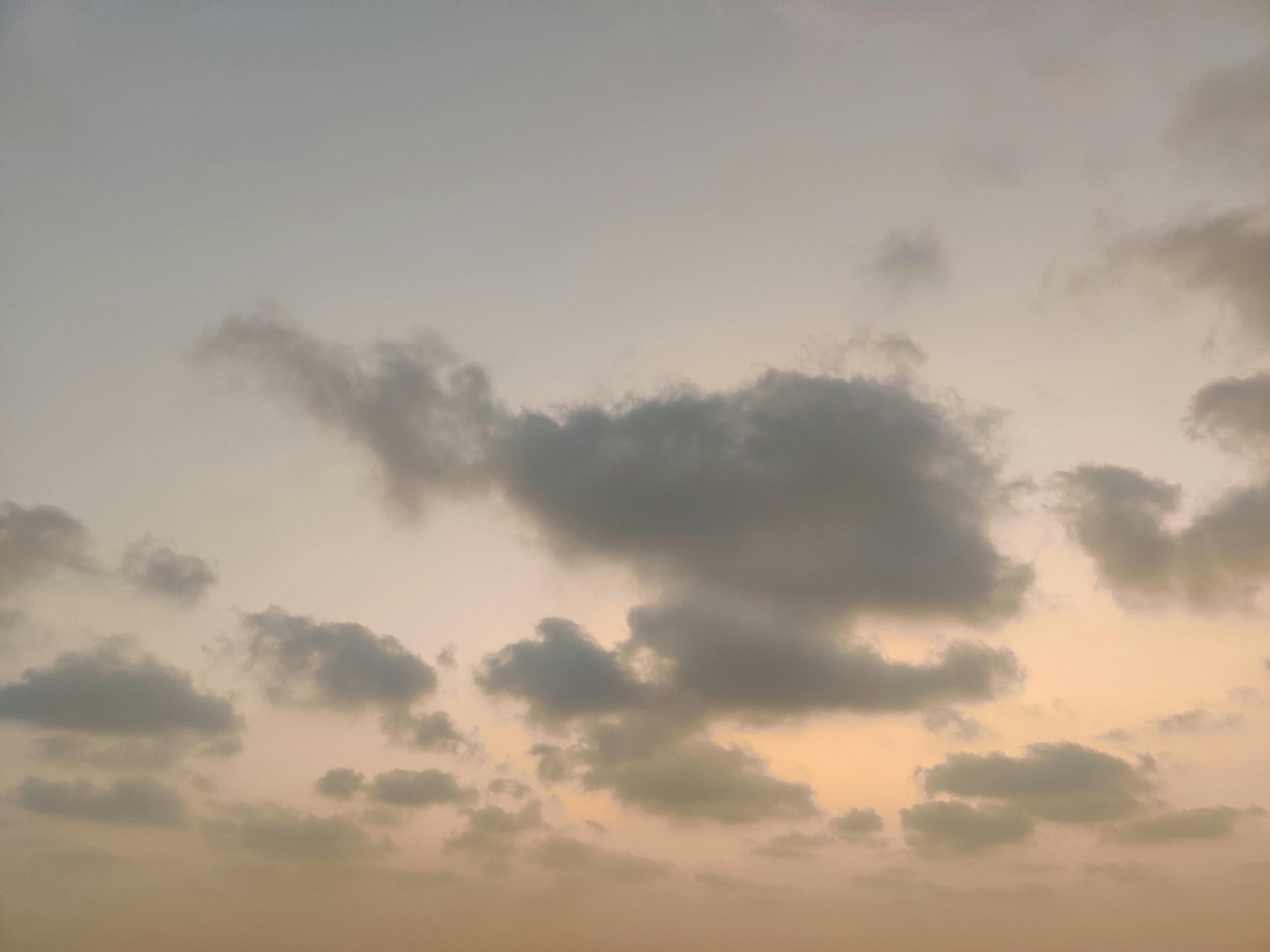 Mrunal Shinde - Photographie