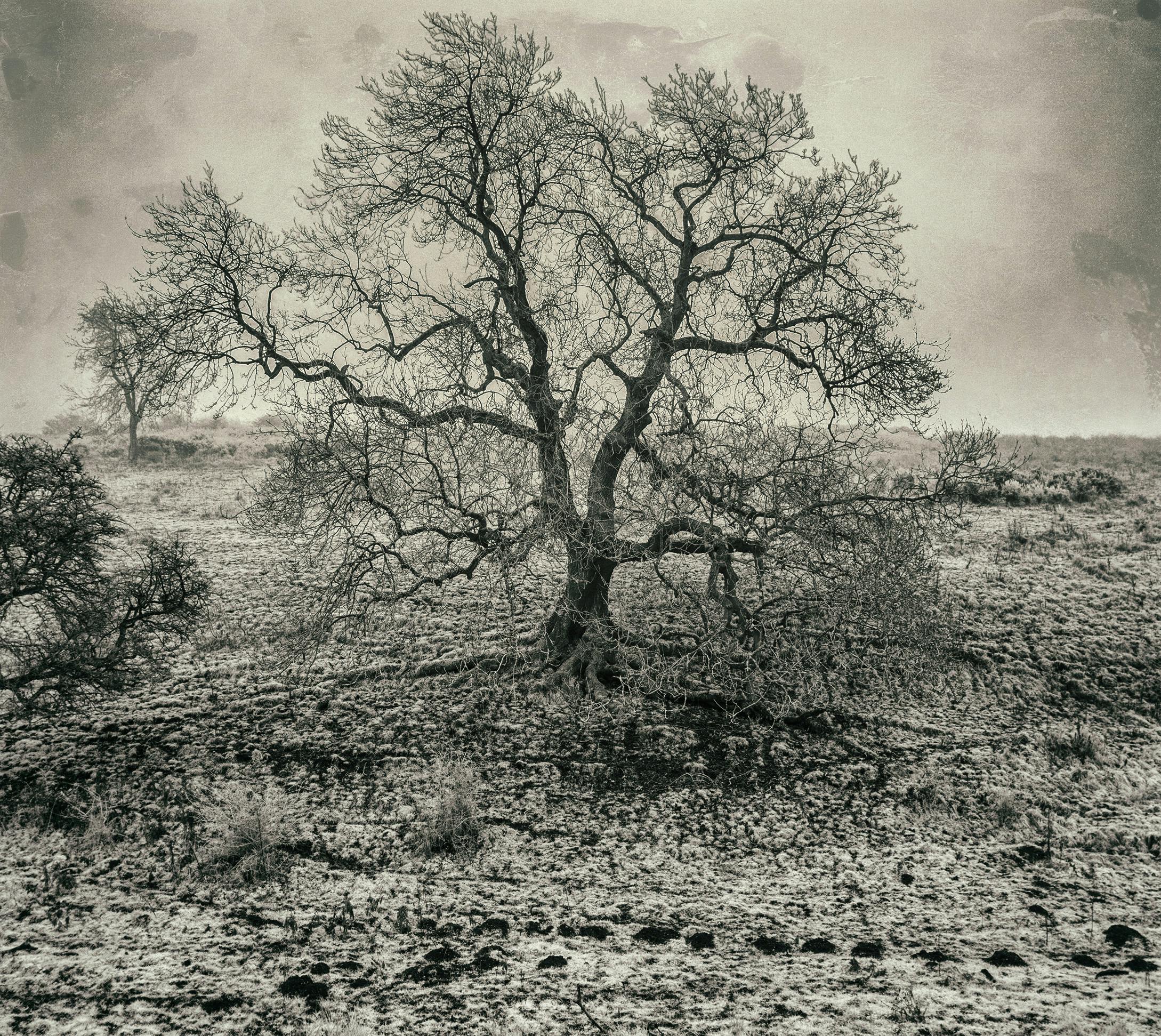 Infrared 6 Photos & Videos Collected by Emma Benitez