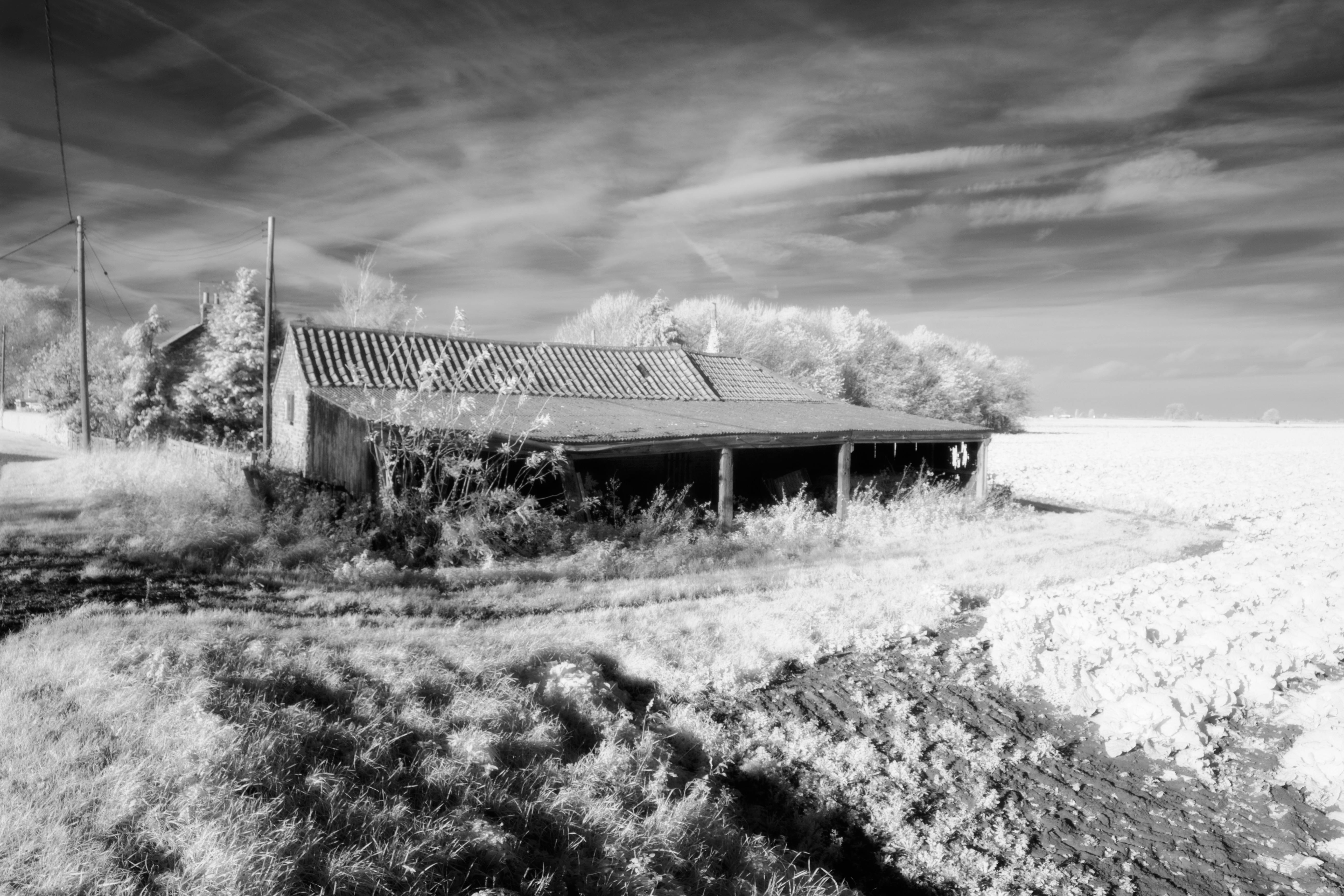 Infrared 6 Photos & Videos Collected by Emma Benitez