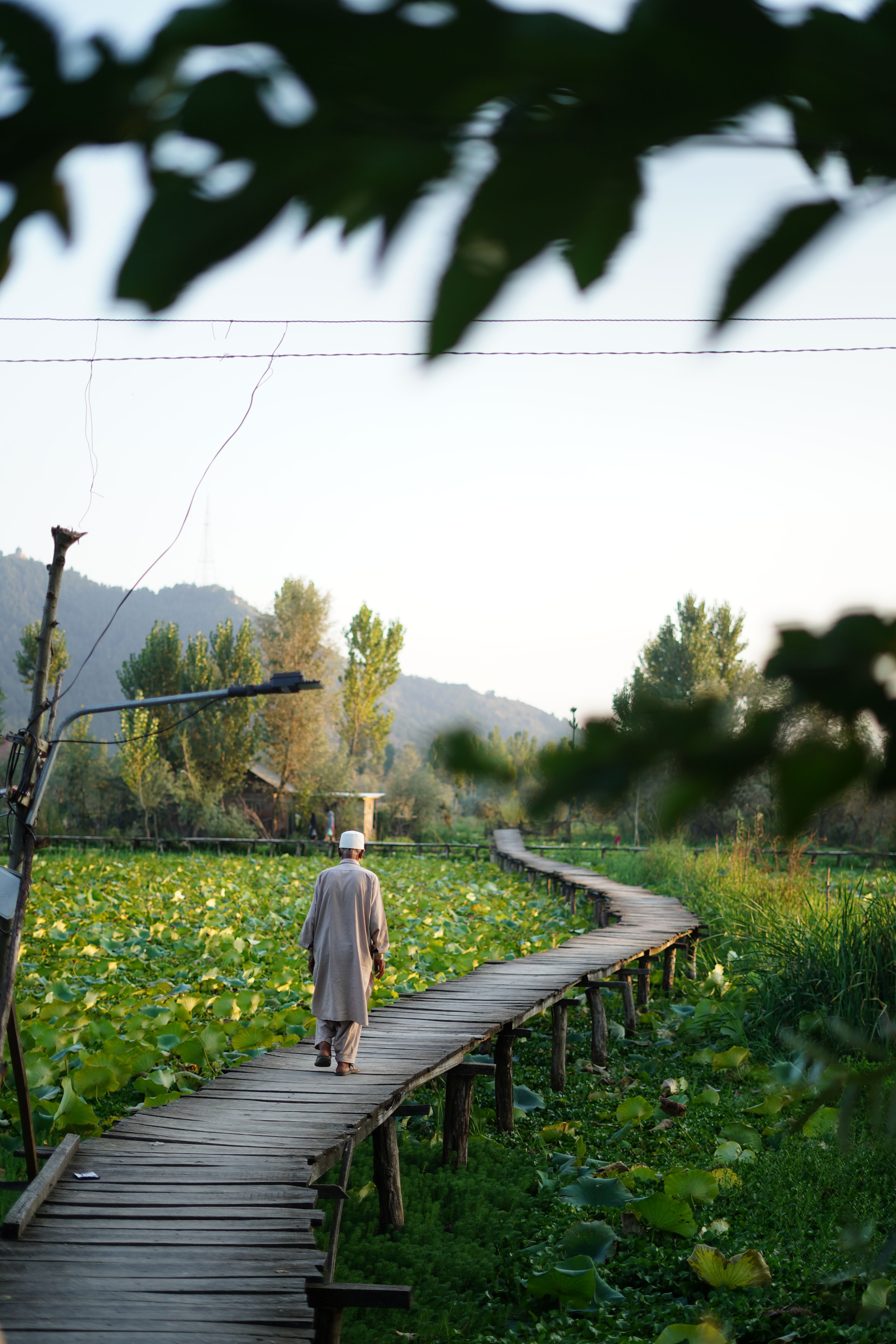 A Person Walking on a Footpath · Free Stock Photo