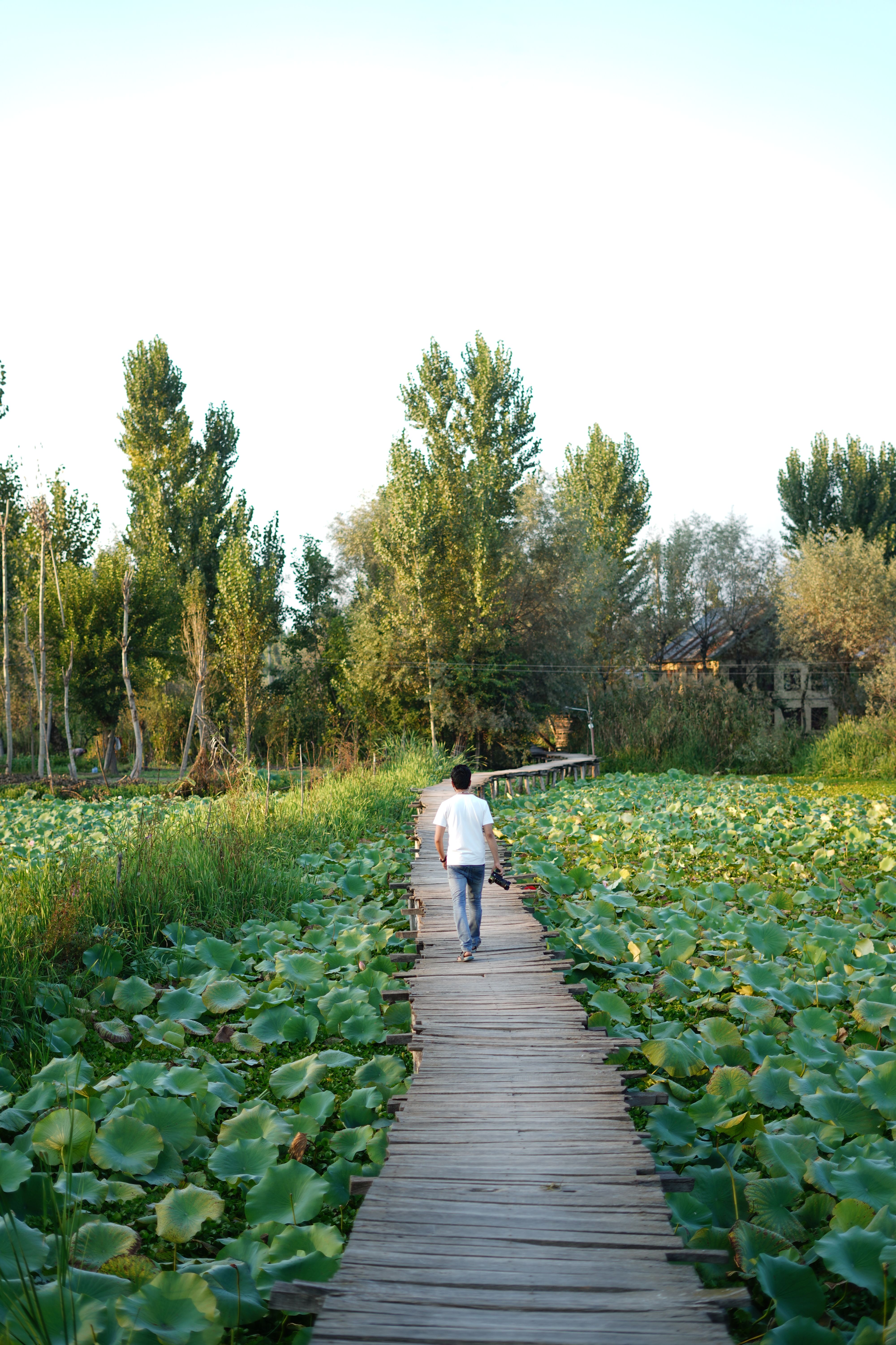 A Man Walking on a Footpath · Free Stock Photo
