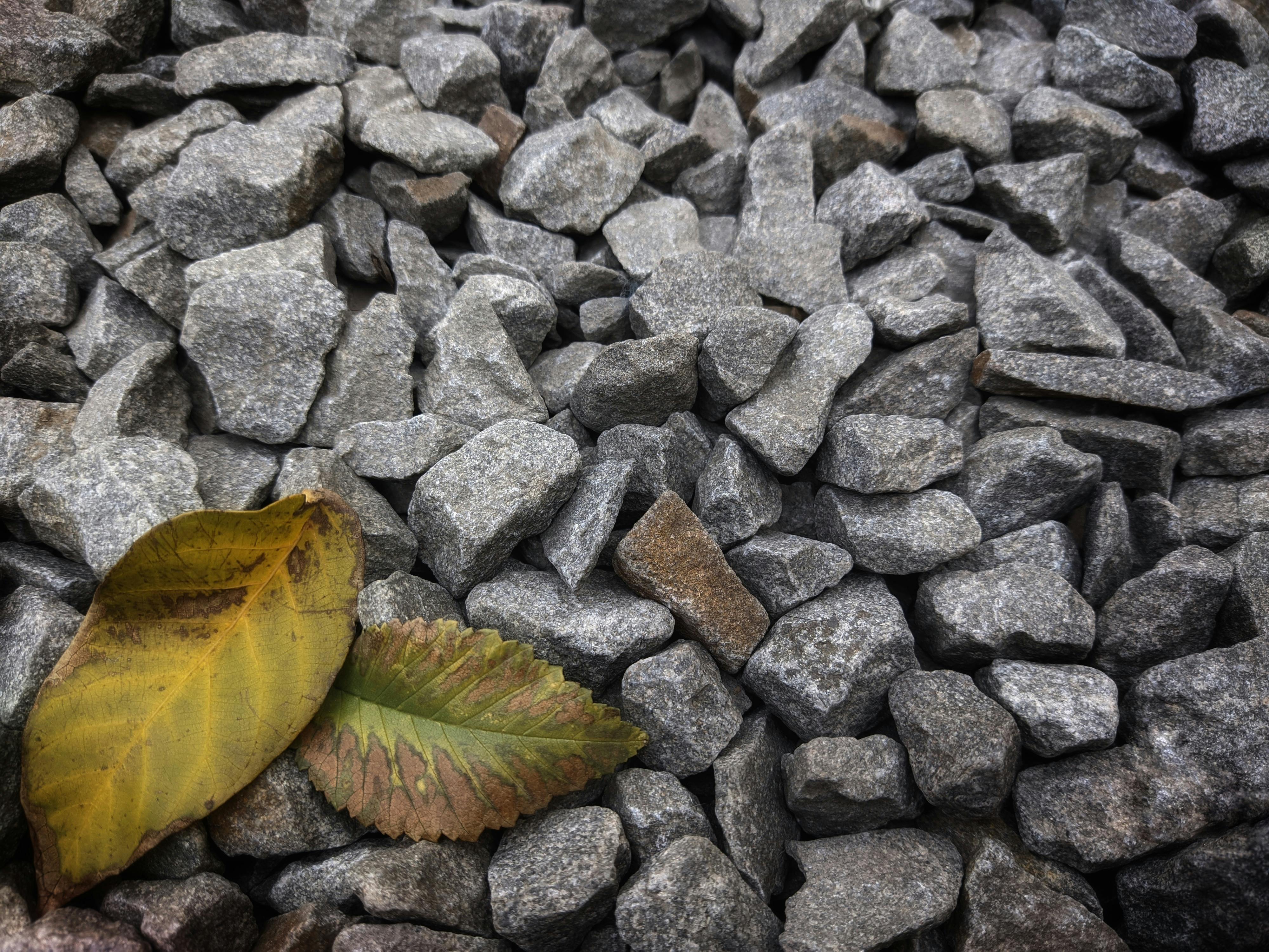 template for postcards 153 Photos & Videos Collected by Ally Ross