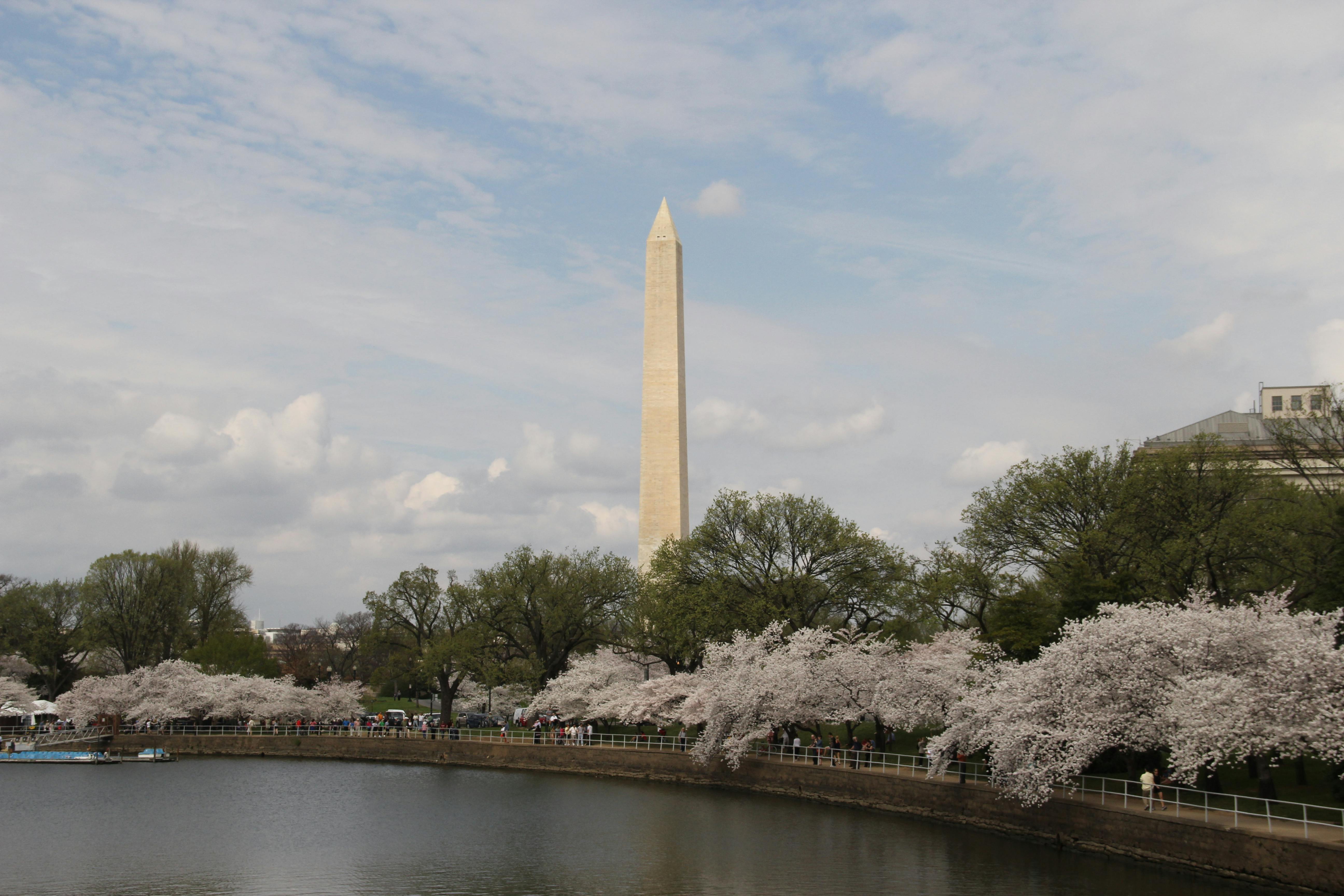 Kostenloses Foto zum Thema: d.c, washington, washington monument