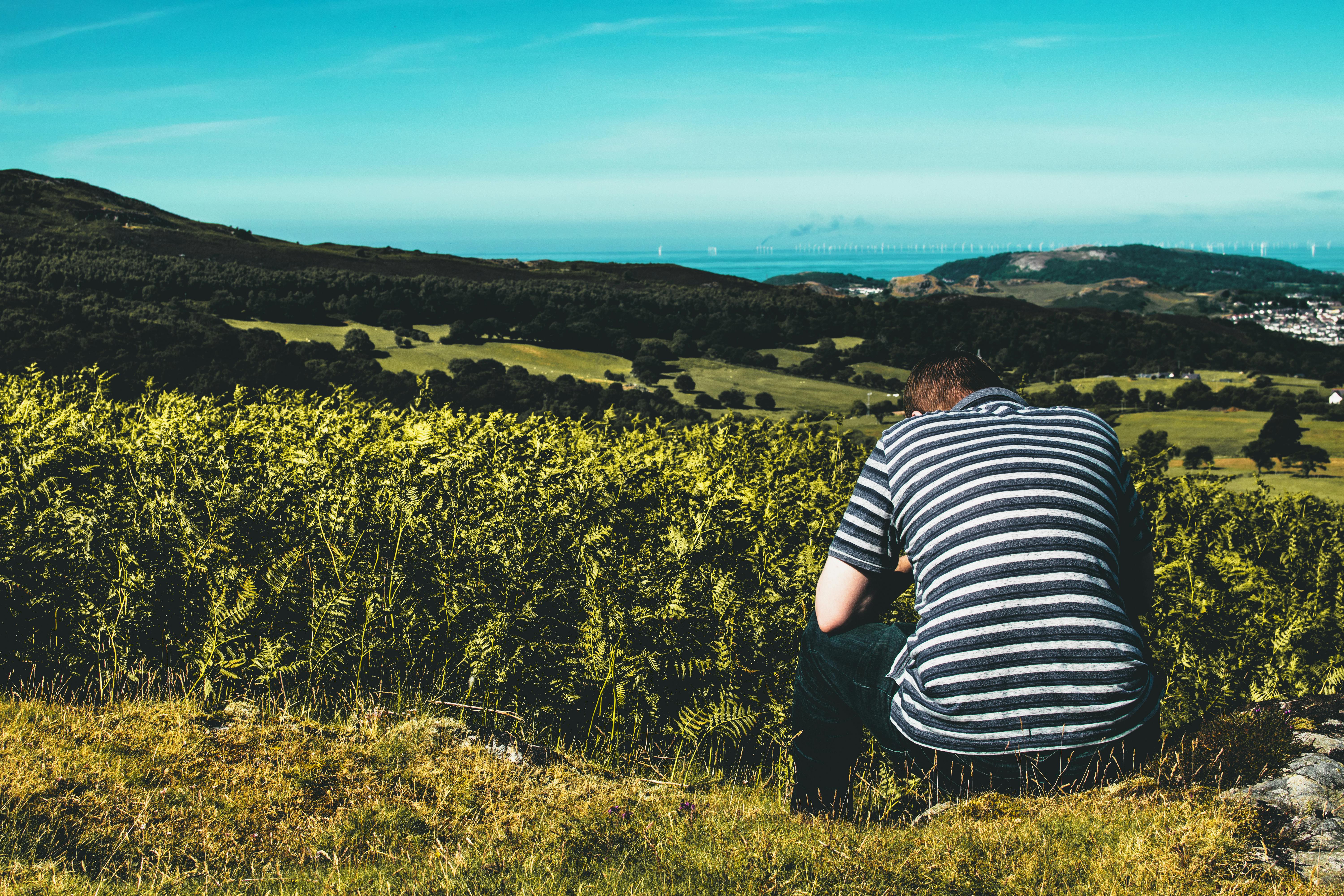 Persona Sentada En El Campo De Hierba · Fotos de stock gratuitas