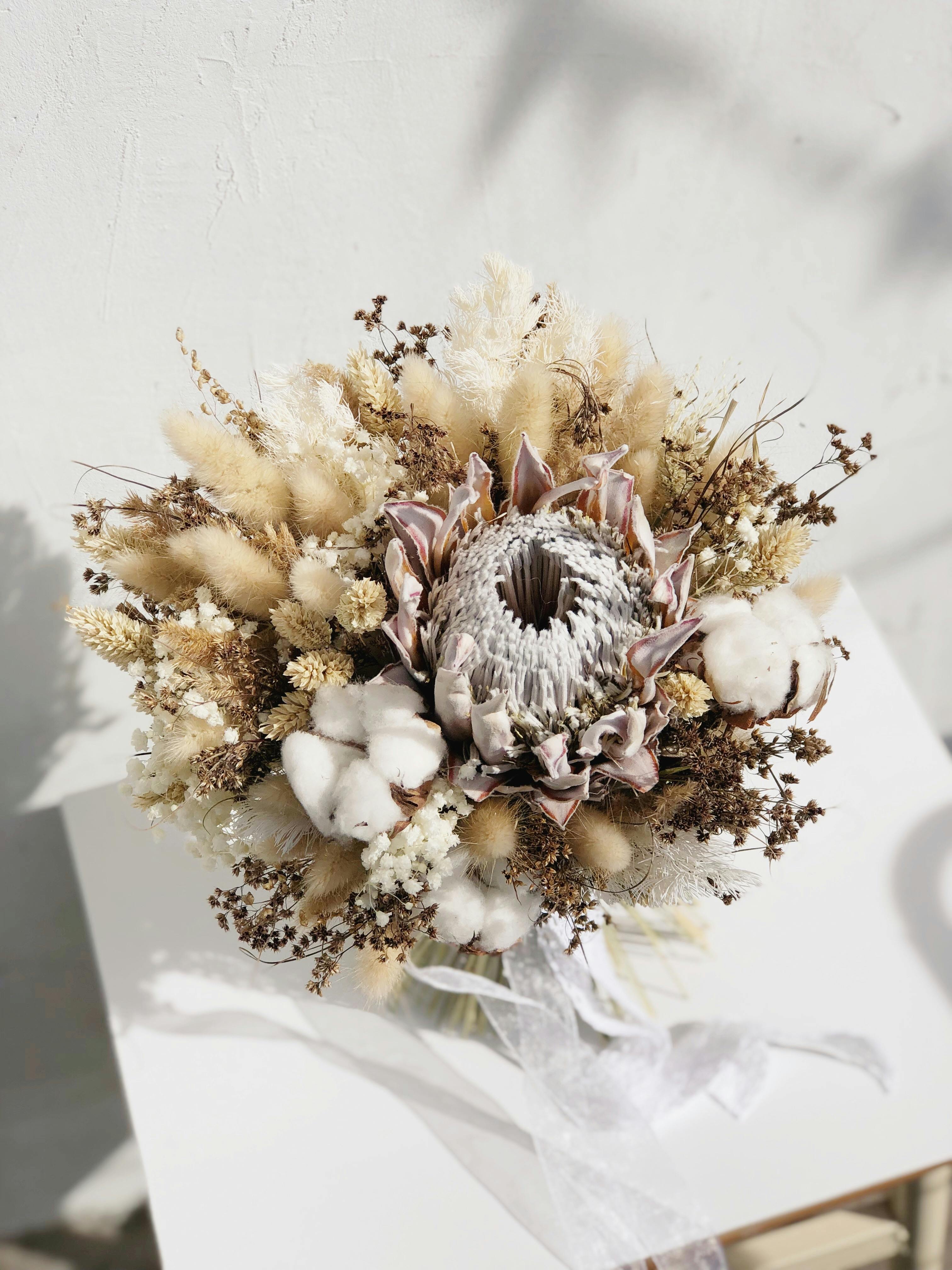 Photo of Multicolour Tulip Bouquet against Black Background · Free ...