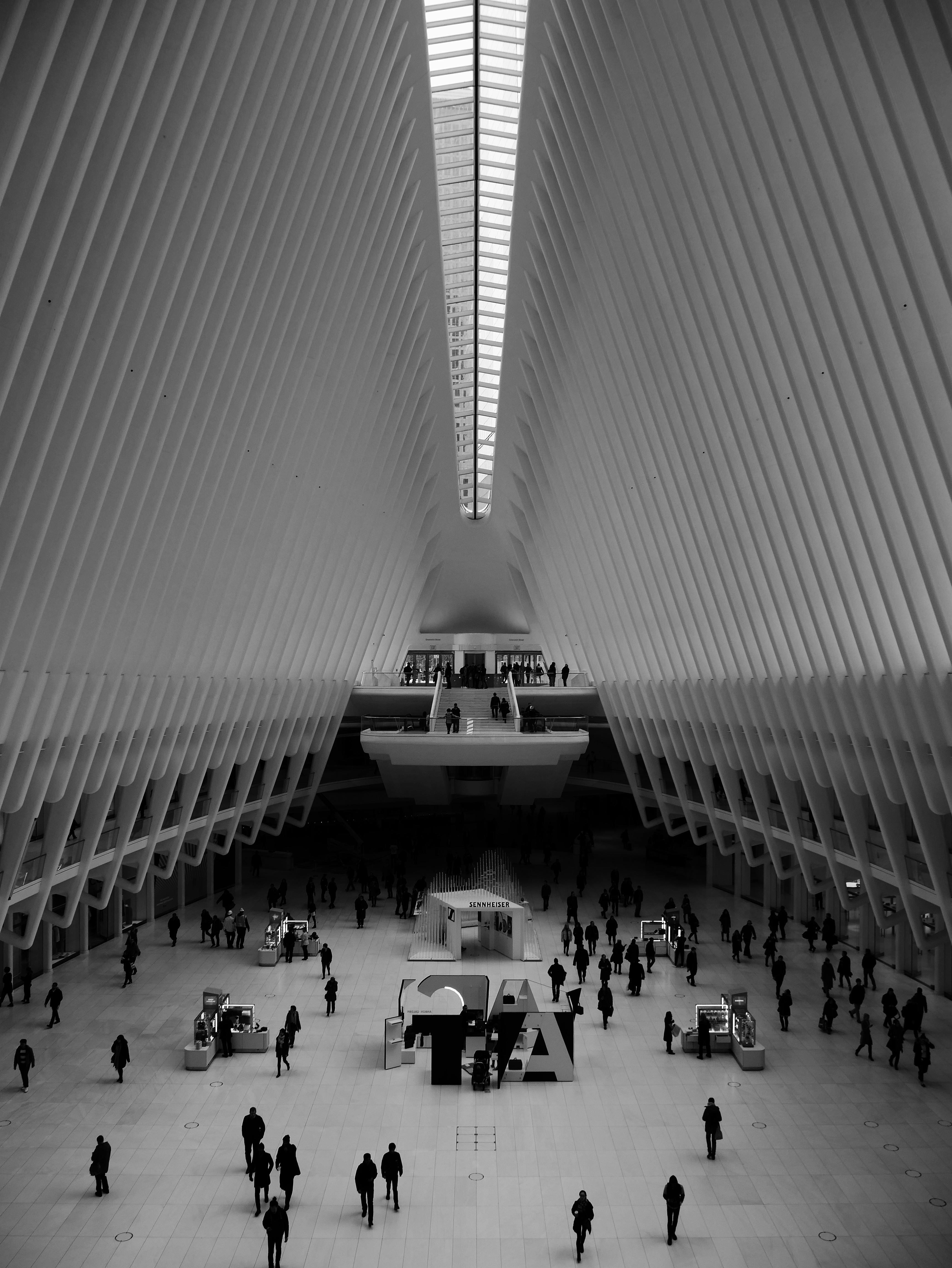 Modern Architecture in Black and White · Free Stock Photo