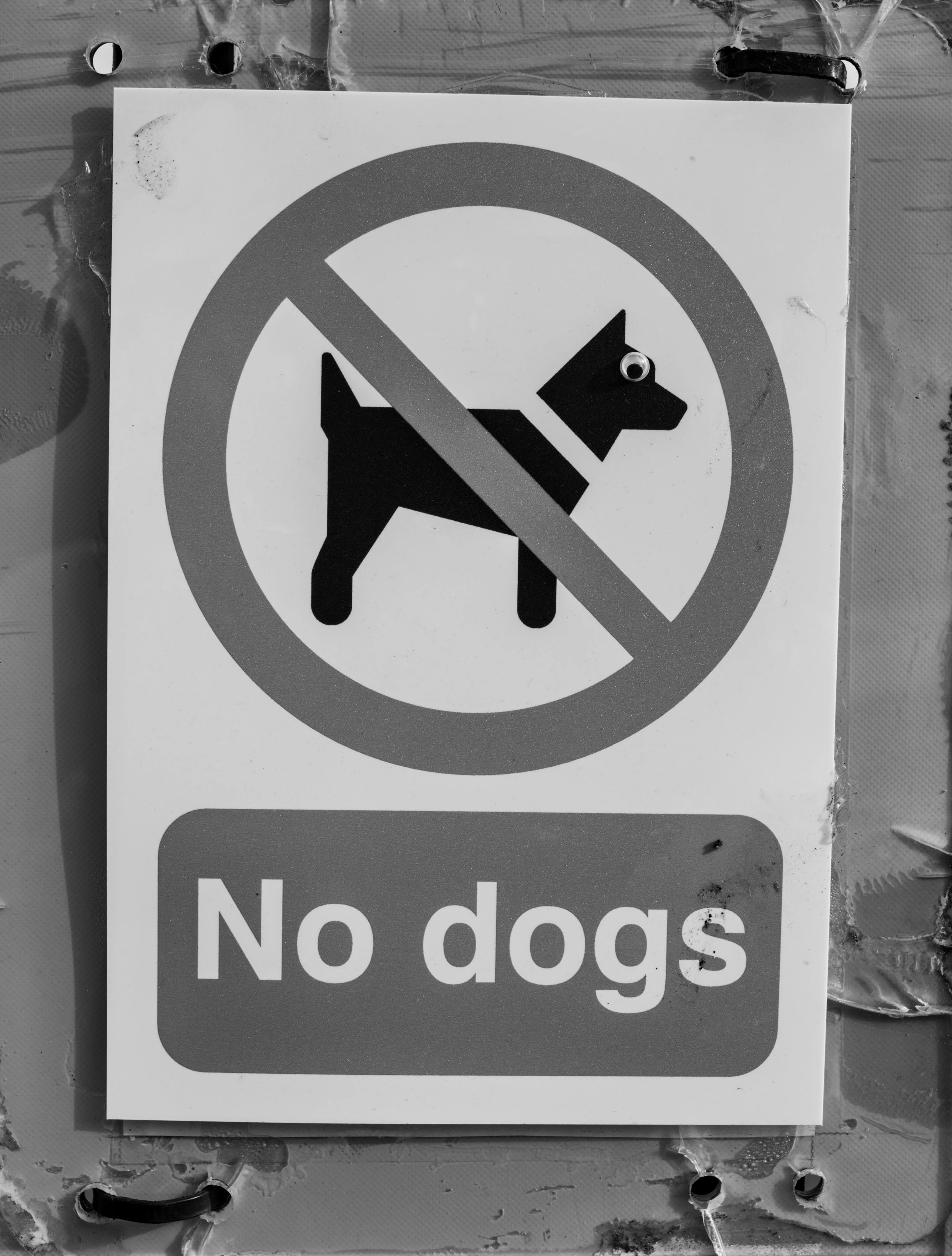 Prohibition Sign Photos, Download The BEST Free Prohibition Sign Stock ...