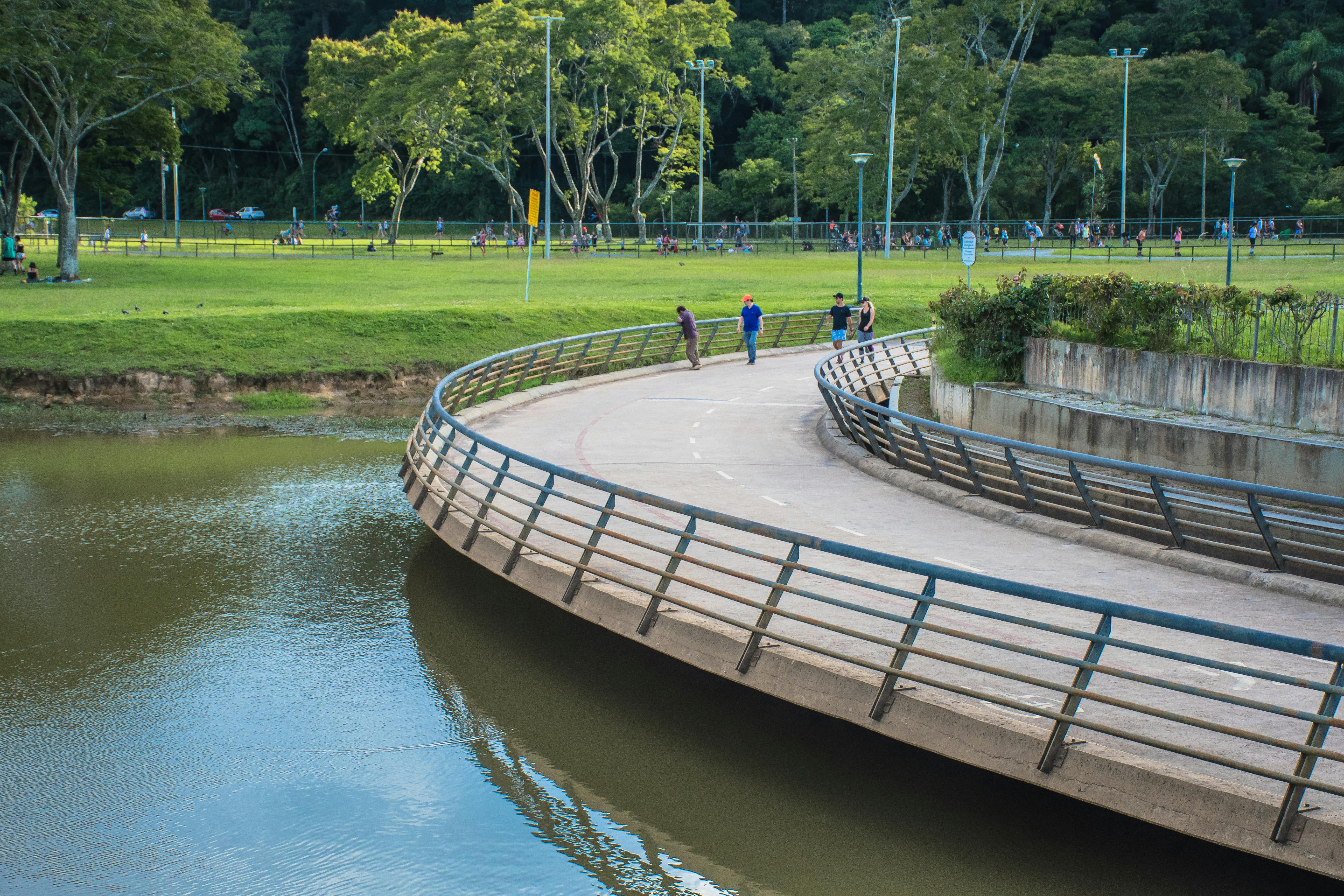 Free stock photo of arquiteture, barigui, bridge