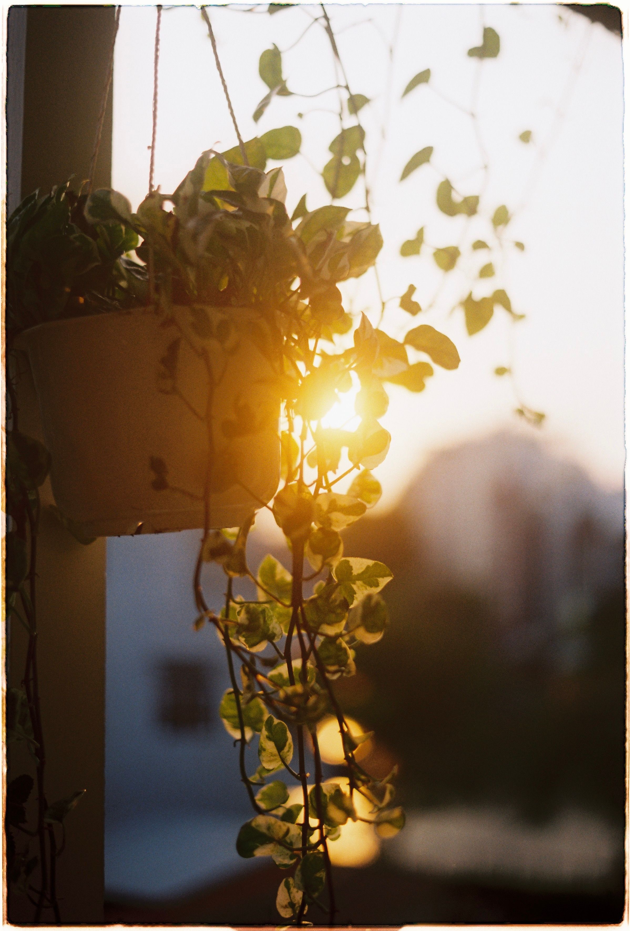 Close Up Shot of the Sun · Free Stock Photo