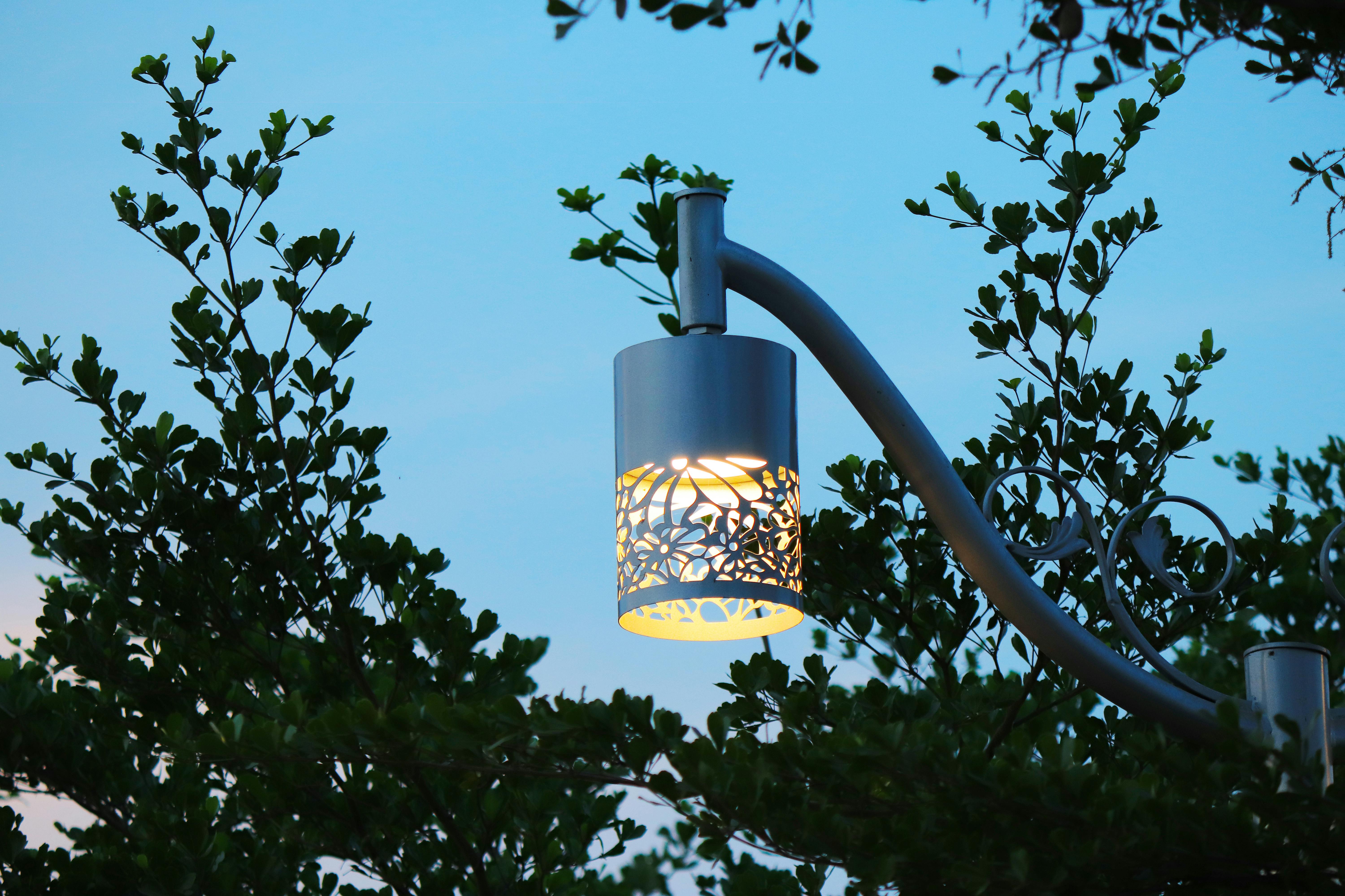 Photo of a Street Lamp · Free Stock Photo