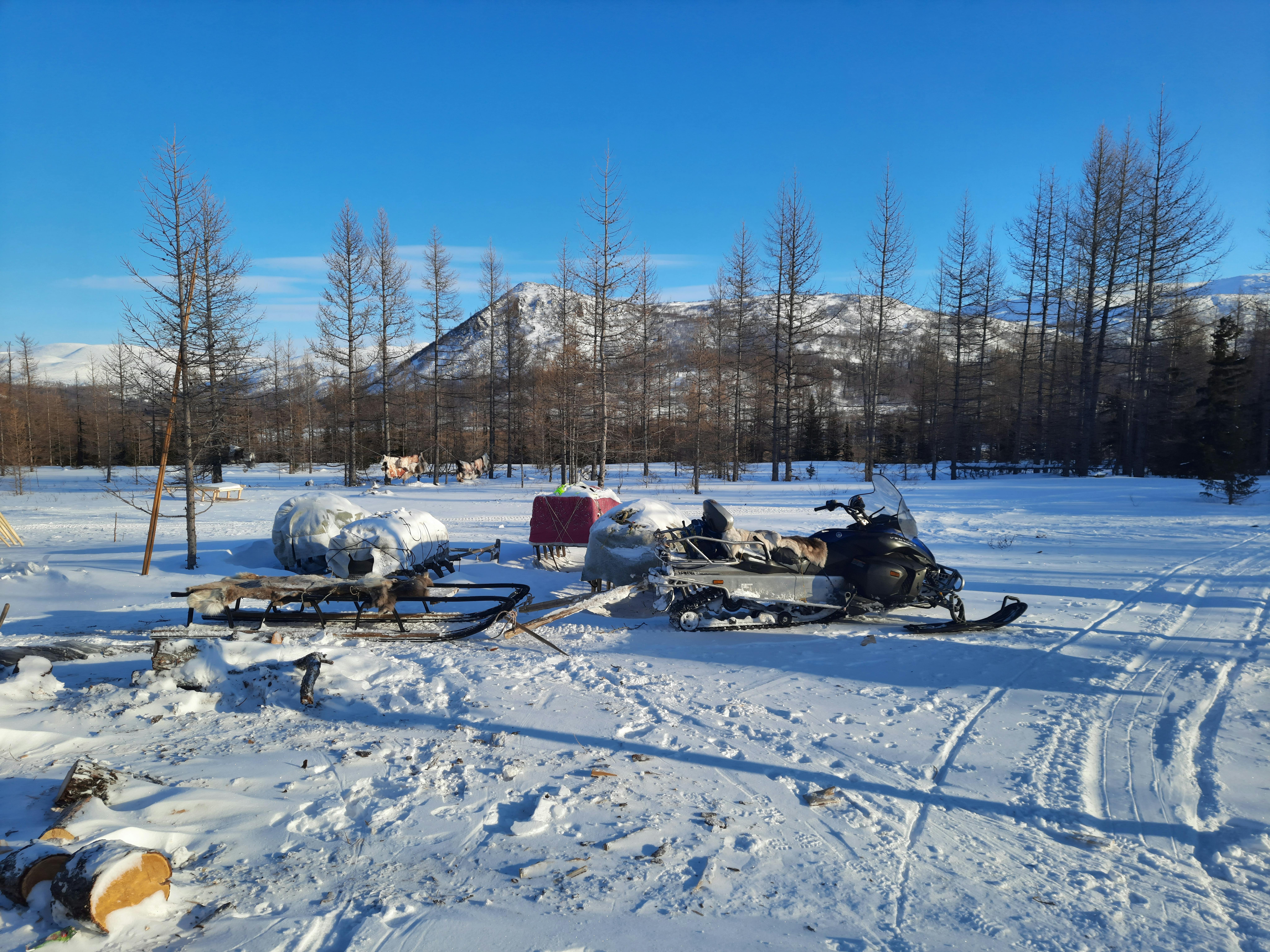 Snowmobile with Sleds in Snow Forest Landscape · Free Stock Photo