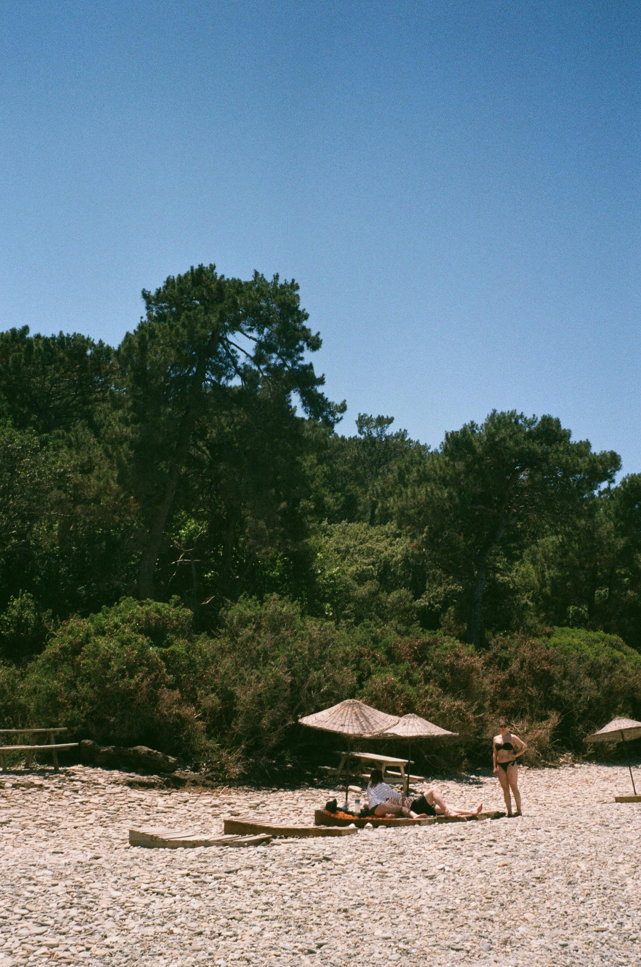 People Resting in a Hut Near Green Trees · Free Stock Photo