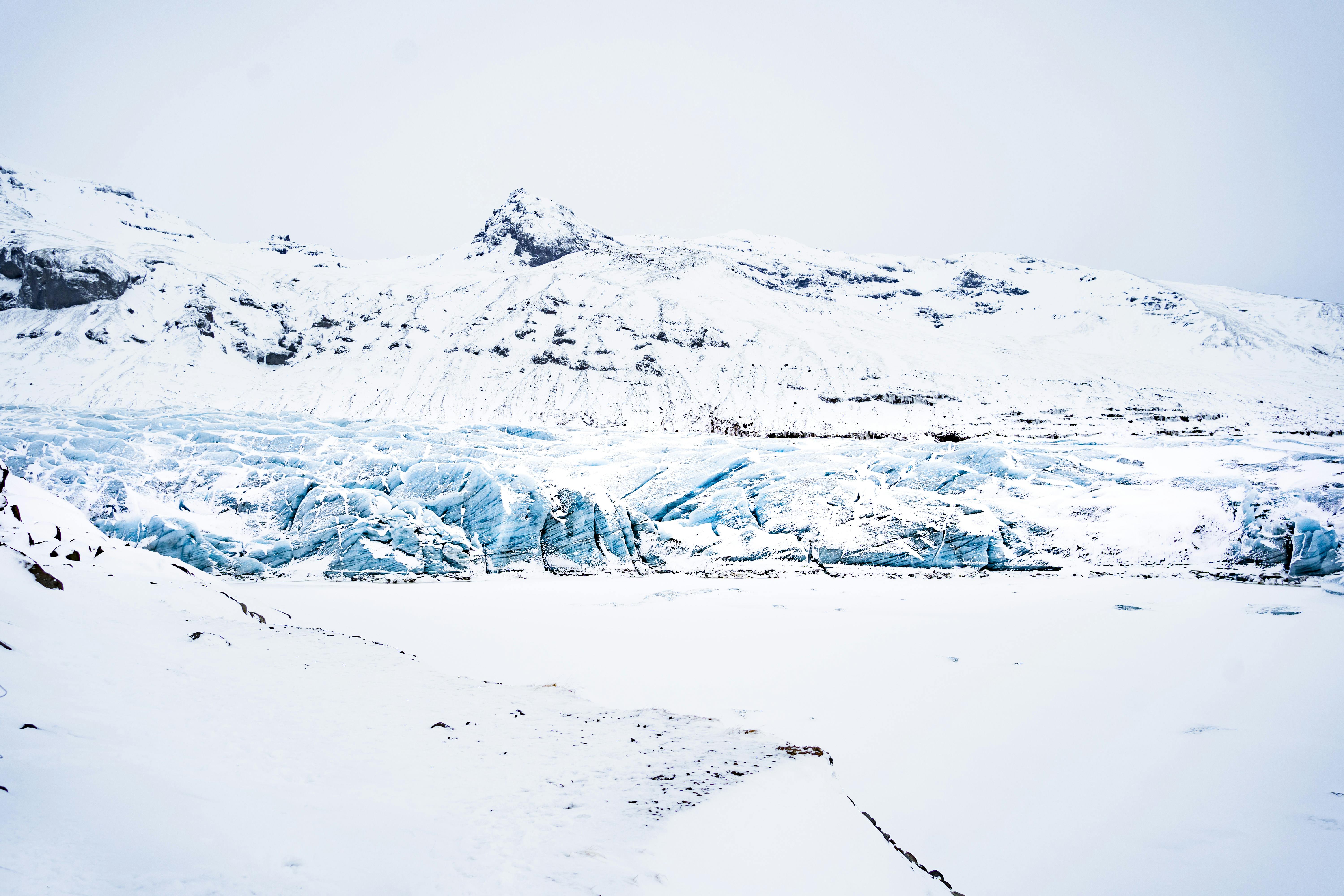 White Snow Covered Landscape · Free Stock Photo