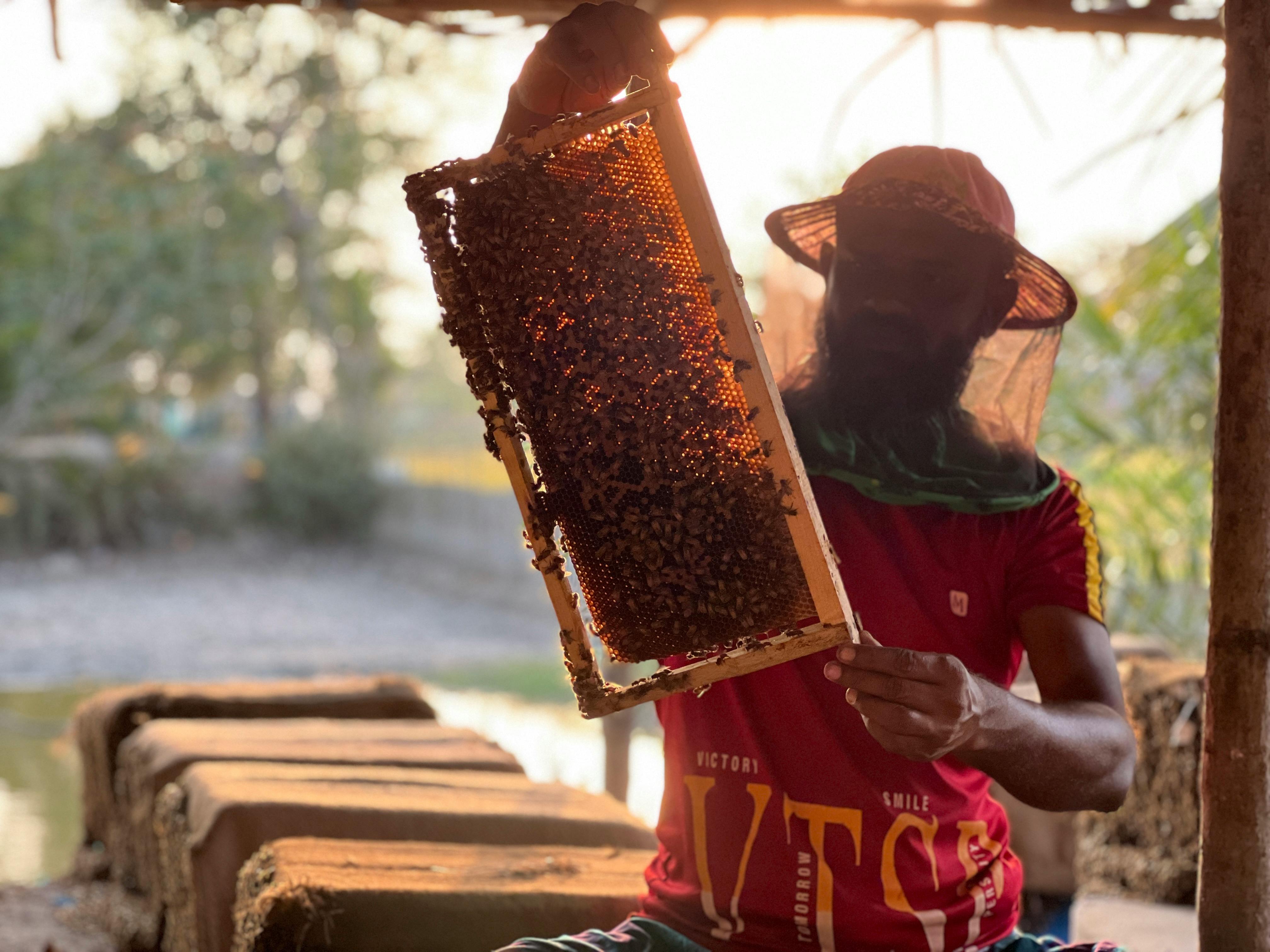 Black Beekeeper Photos, Download The BEST Free Black Beekeeper Stock ...