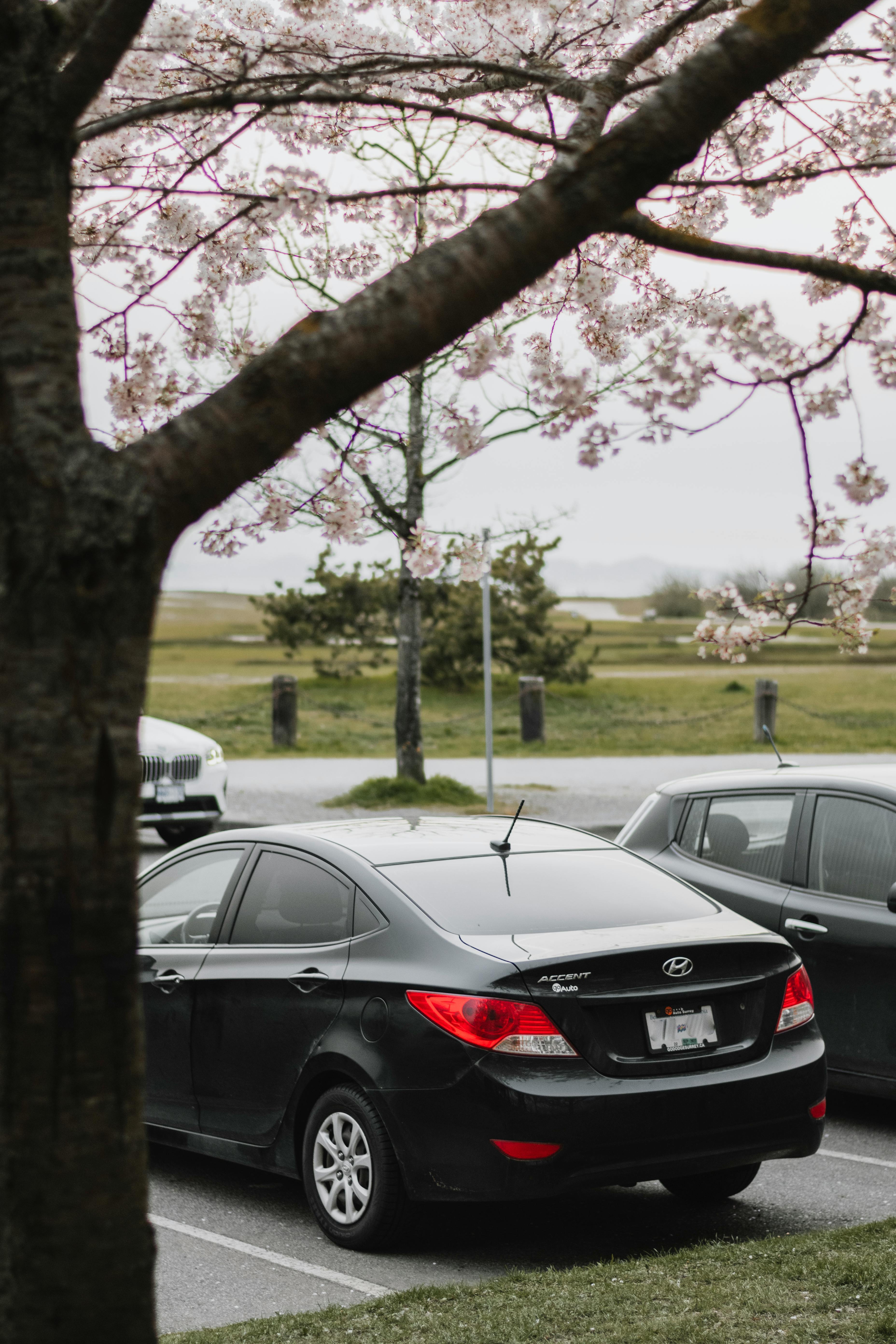 Black Convertible Car on a Parking Lot · Free Stock Photo