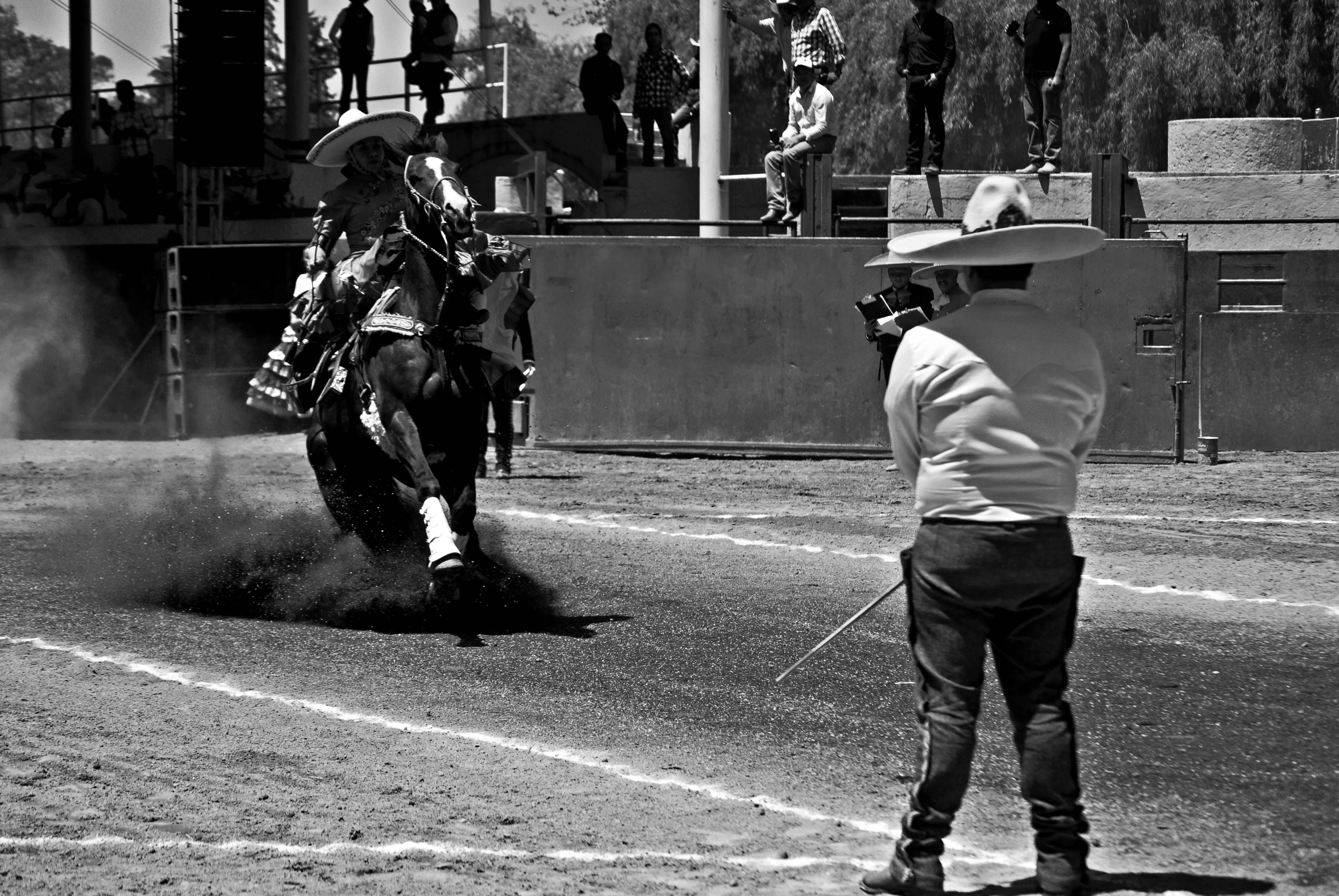 Grayscale Photo of Man Riding a horse · Free Stock Photo