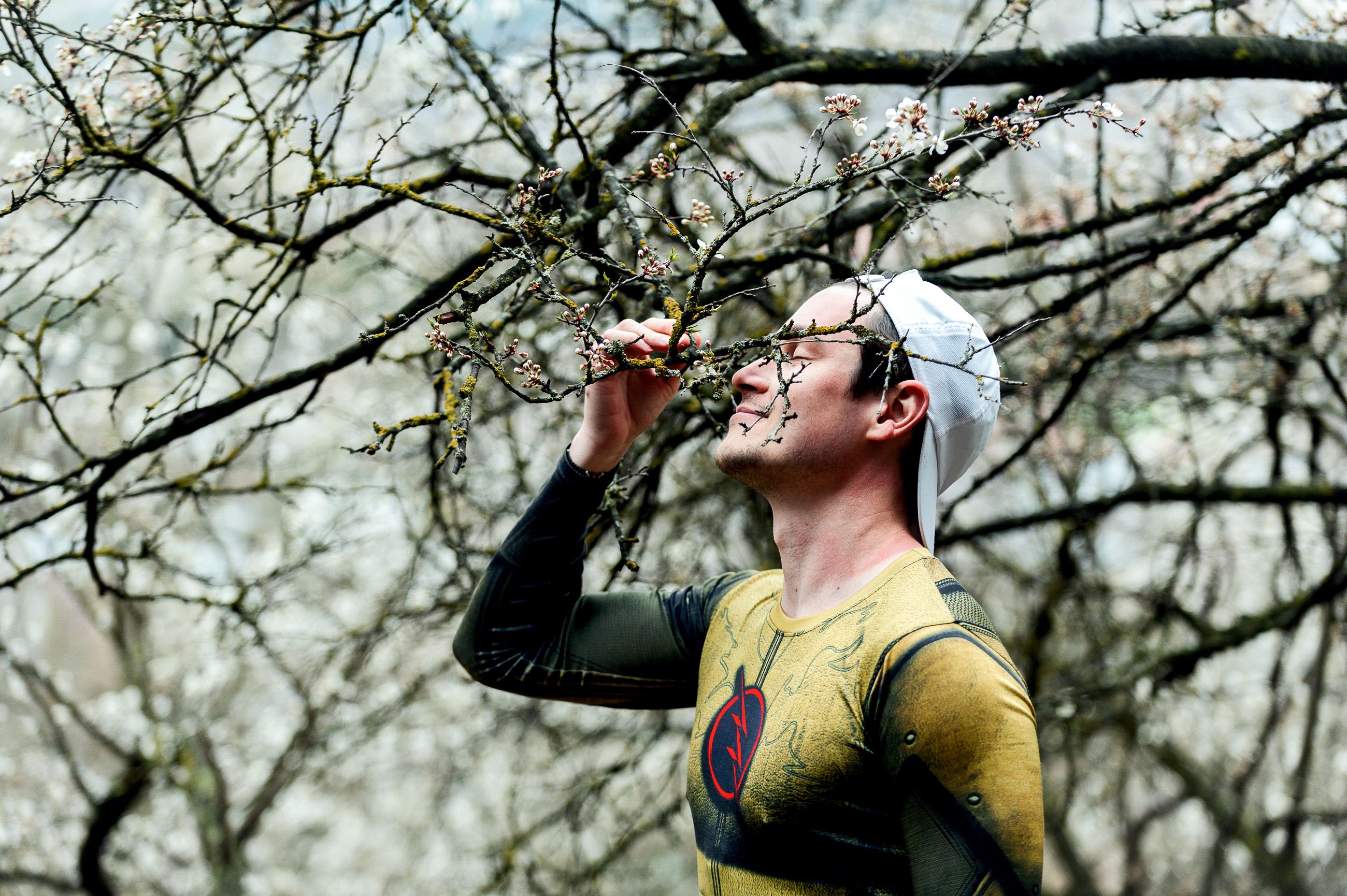 Man Holding a Tree Branch · Free Stock Photo