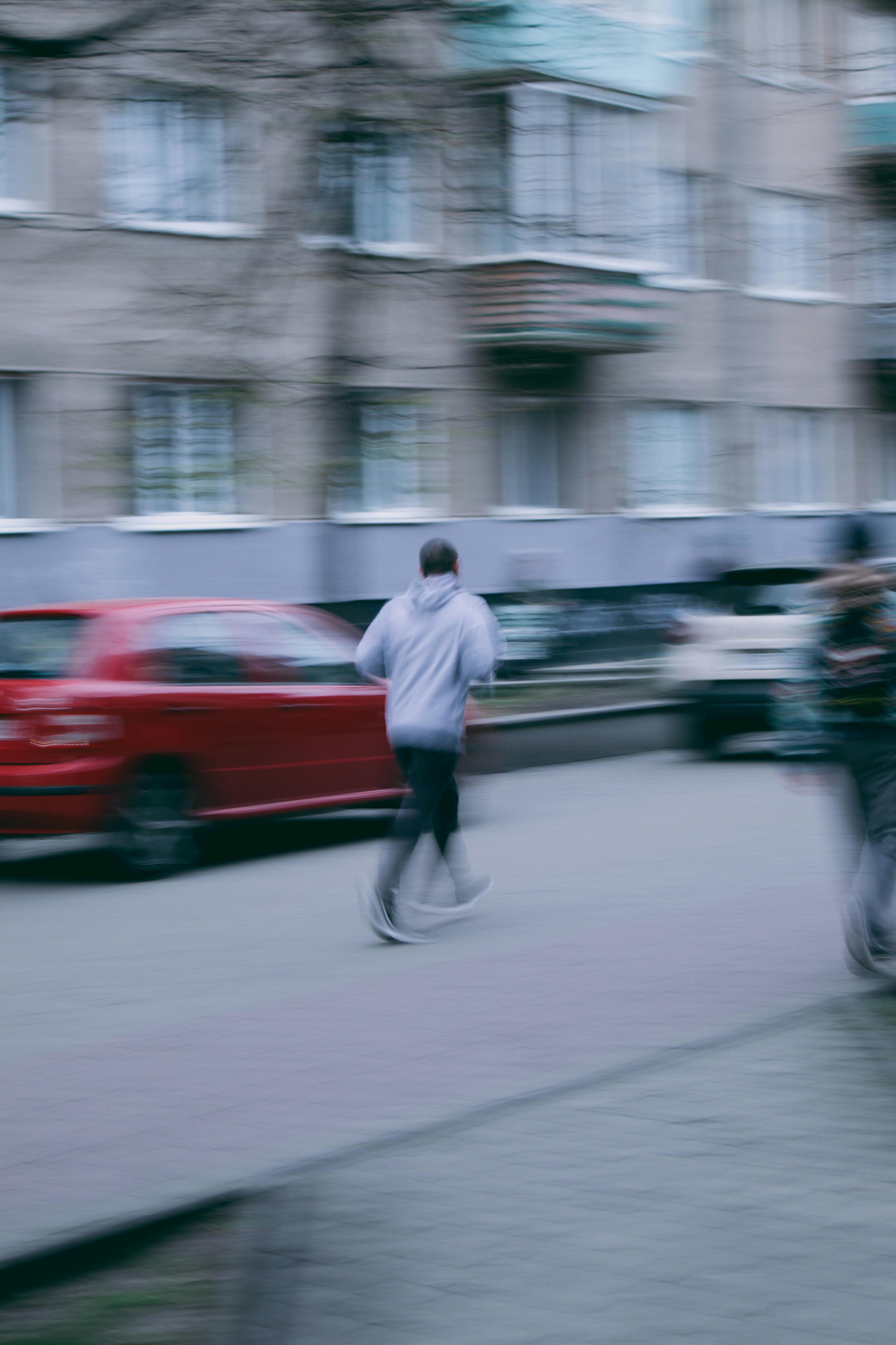 Fowl Run Photos, Download The BEST Free Fowl Run Stock Photos & HD Images