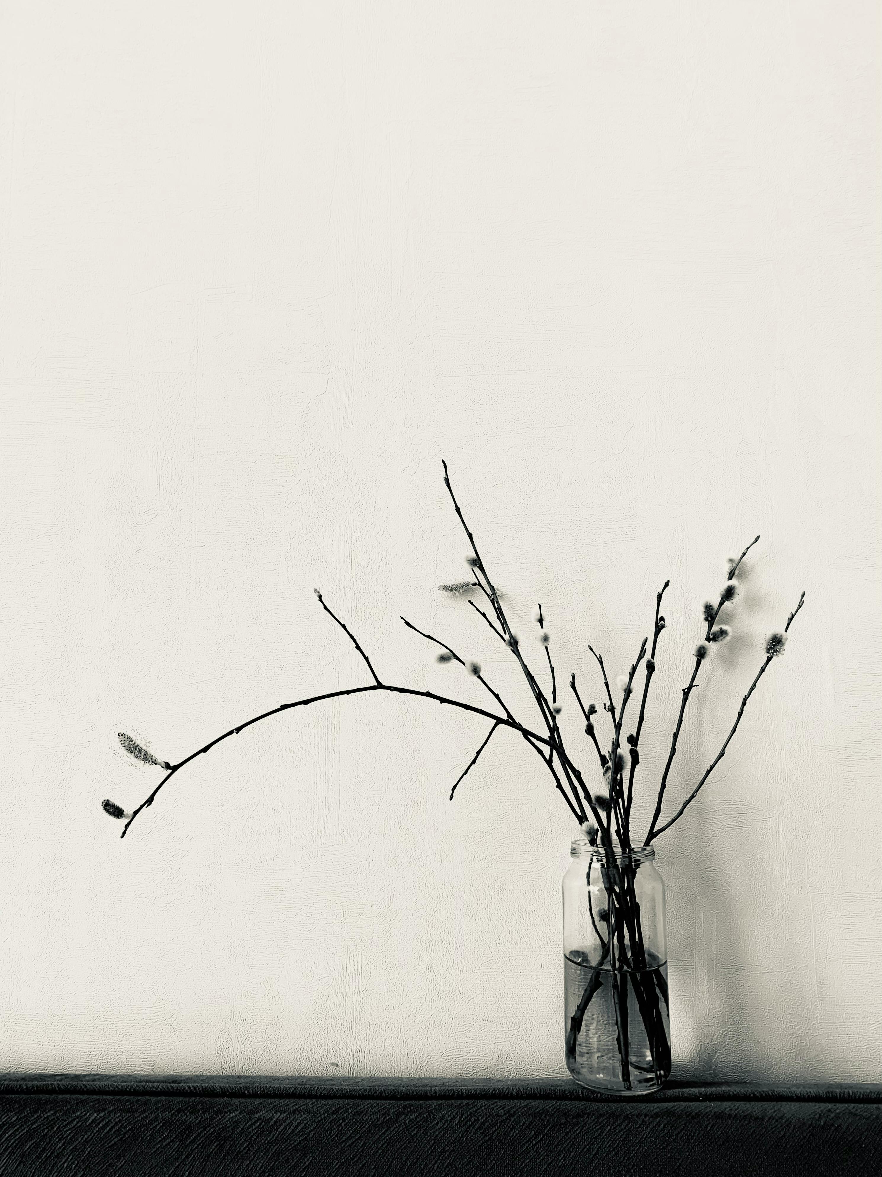 Grayscale Photo of Twigs in a Glass Vase · Free Stock Photo