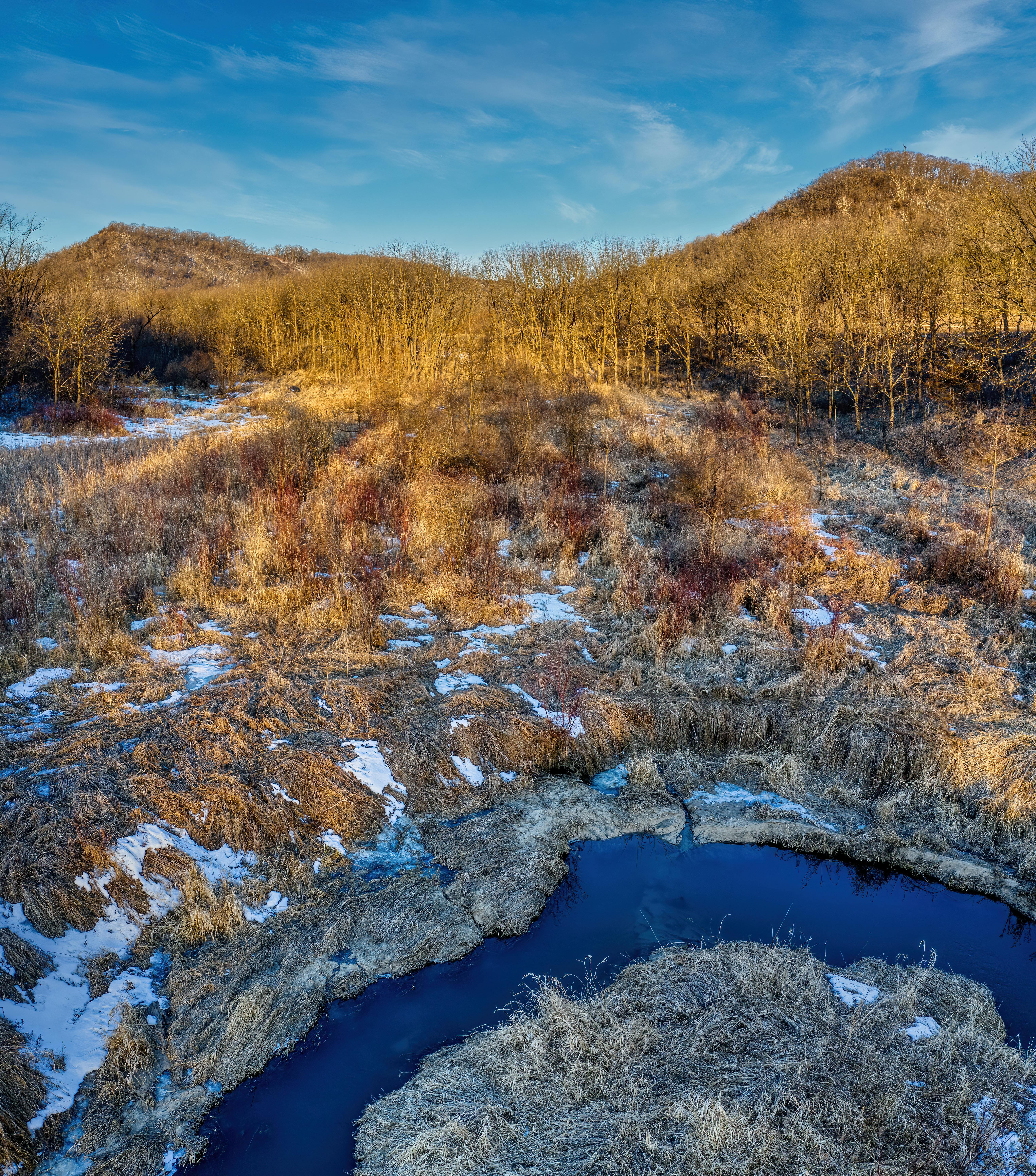 Green Trees Beside River · Free Stock Photo