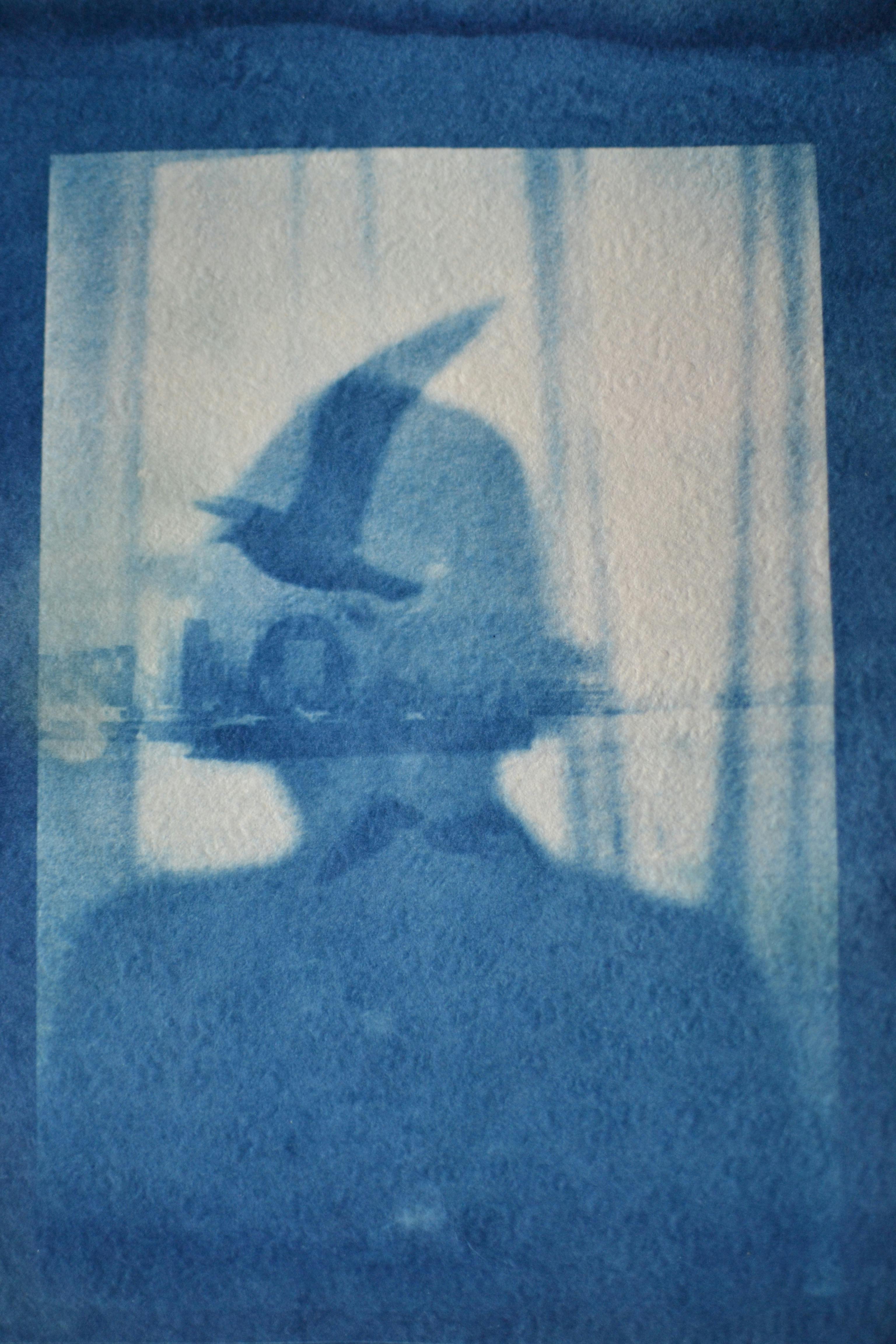 Abstract Nature Monotone Photos, Download The BEST Free Abstract Nature ...