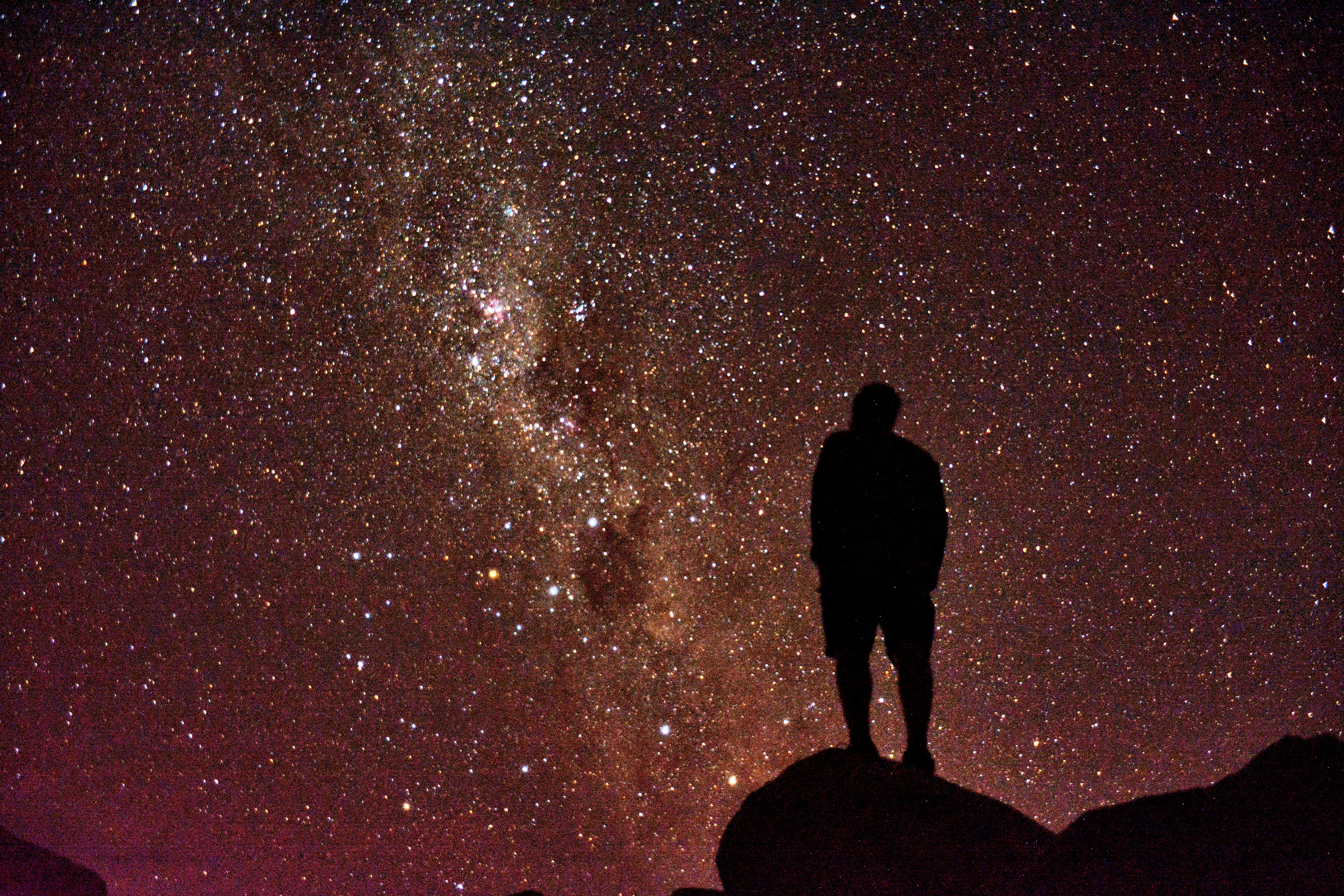 Silhouette of a Person under a Starry Sky · Free Stock Photo