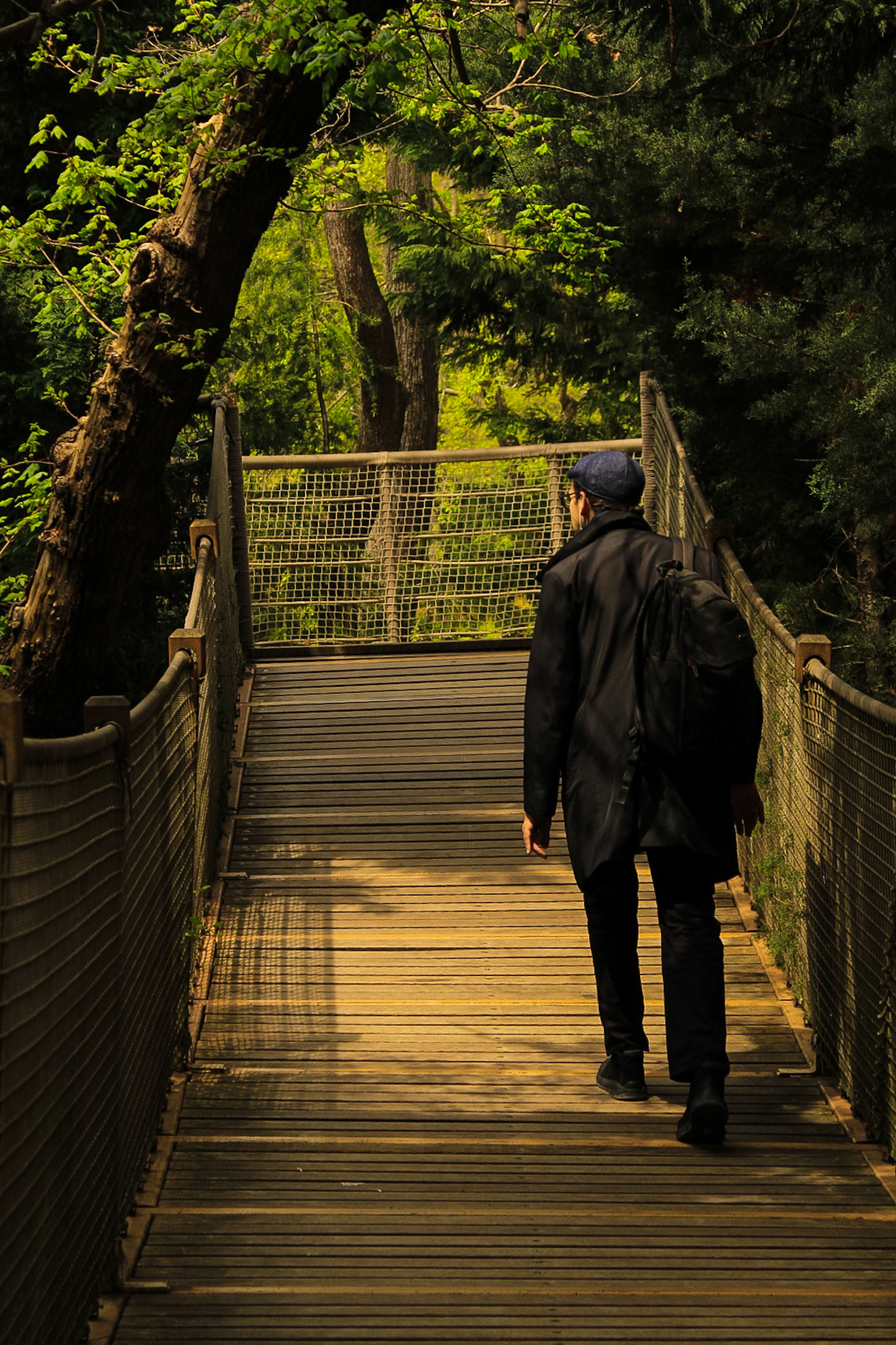 A Man Standing on Wooden Hanging Bridge · Free Stock Photo